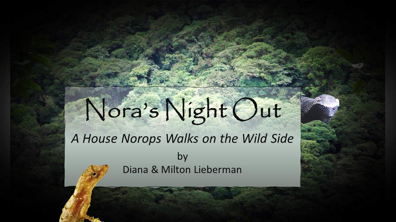 Nora's Night Out: A House Norops Walks on the Wild Side by Diana ...