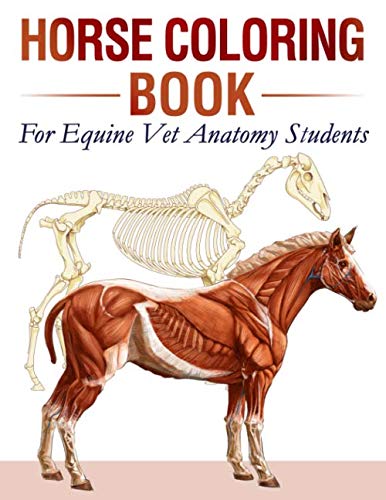 Horse Coloring Book For Equine Vet Anatomy Students: 35+ Incredibly ...