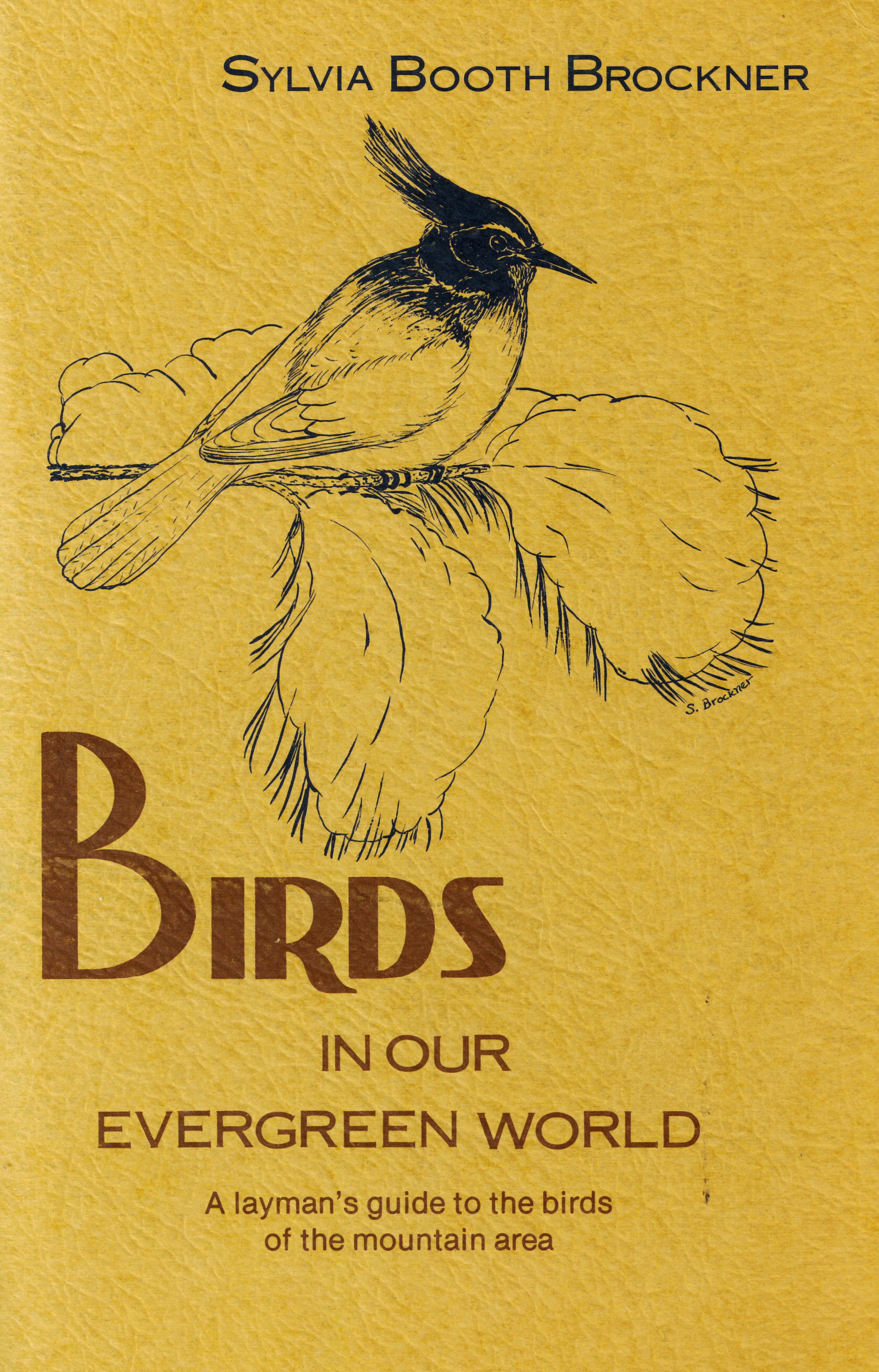 Birds in Our Evergreen World by Sylvia Booth Brockner | Goodreads