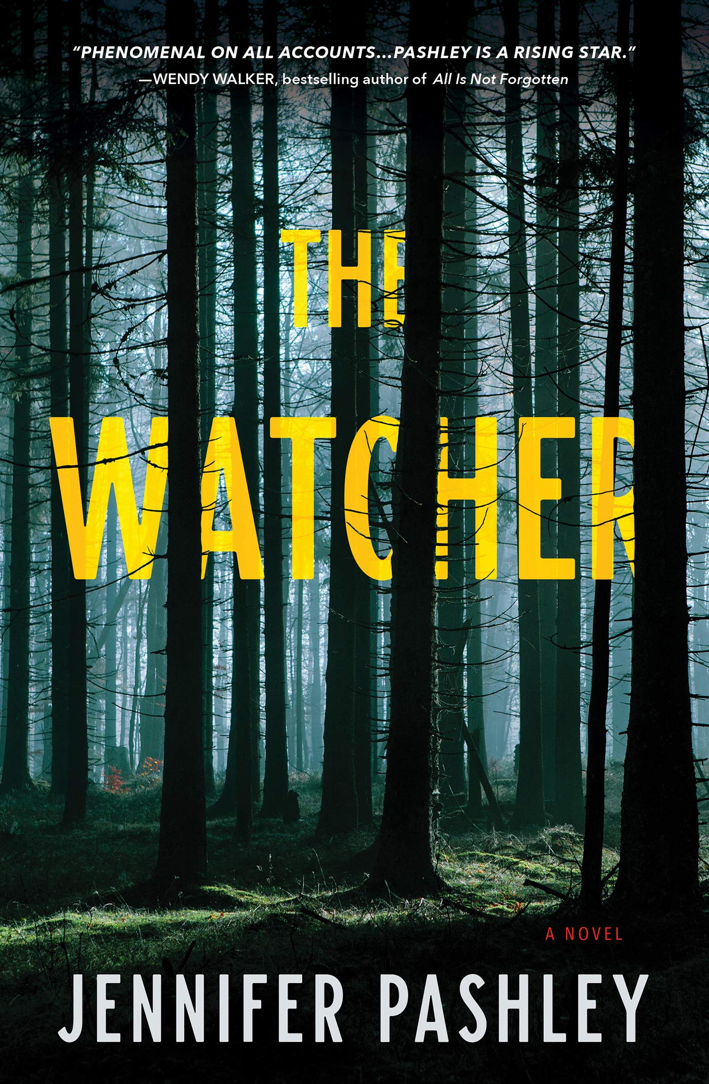 The Watcher by Jennifer Pashley | Goodreads