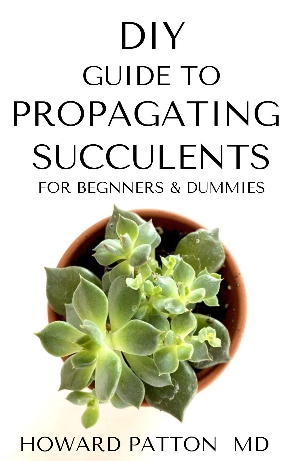 DIY GUIDE TO PROPAGATING SUCCULENTS FOR BEGINNERS AND DUMMIES : Step By ...
