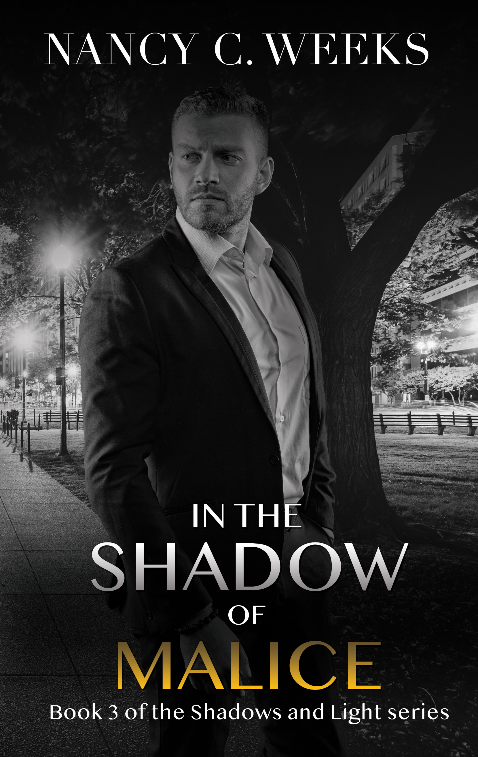 In the Shadow of Malice (Shadows and Light, #3) by Nancy C. Weeks ...