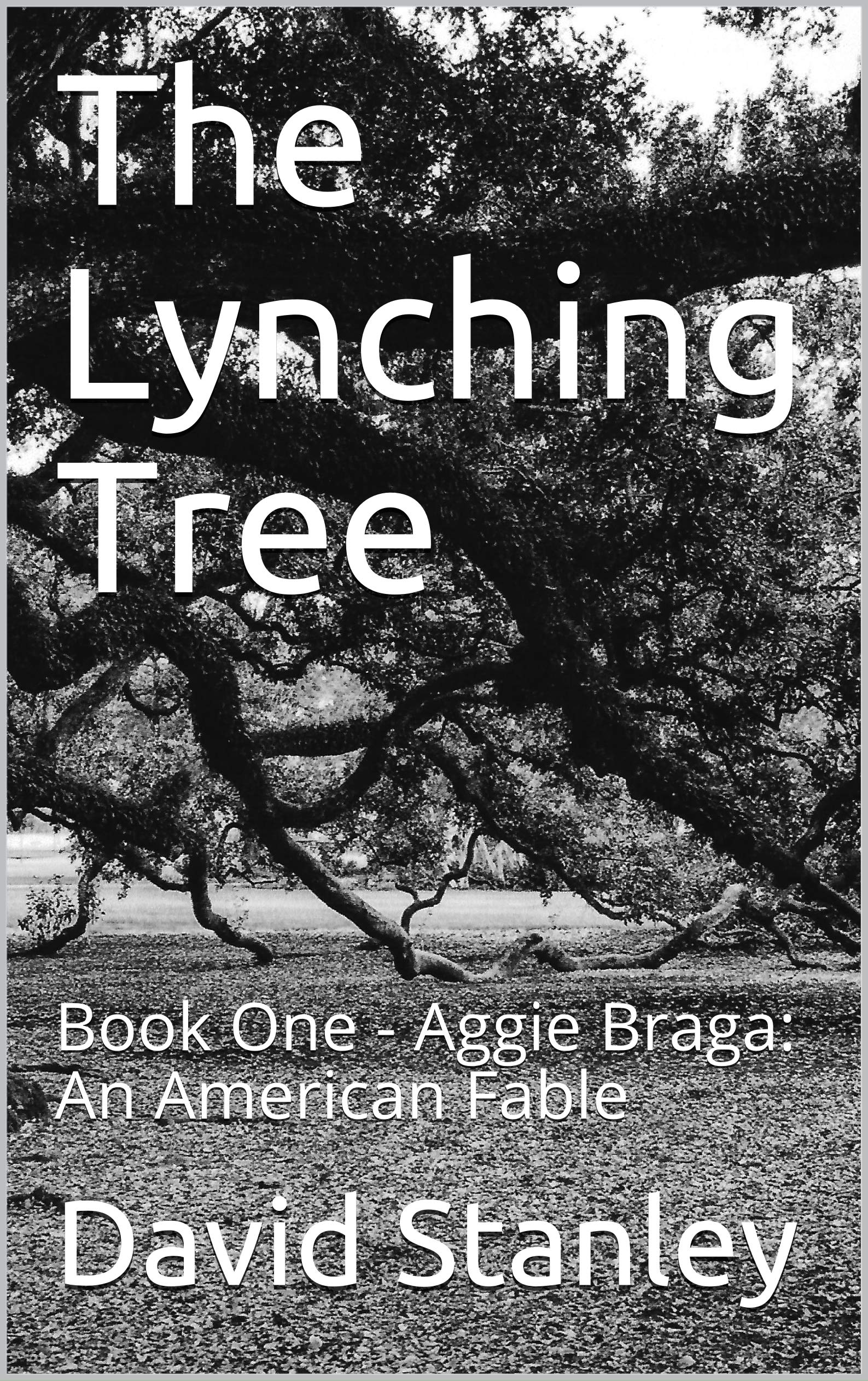 The Lynching Tree: Book One - Aggie Braga: An American Fable by David ...