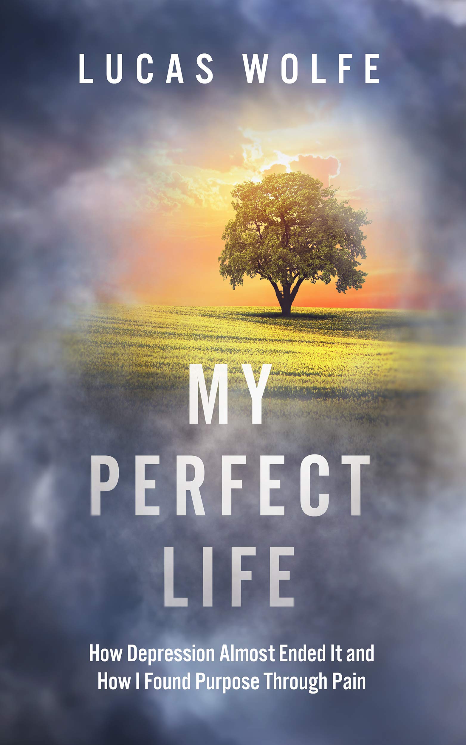 My Perfect Life: How Depression Almost Ended It and How I Found Purpose ...