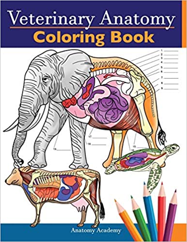 Veterinary Anatomy Coloring Book by Anatomy Academy | Goodreads