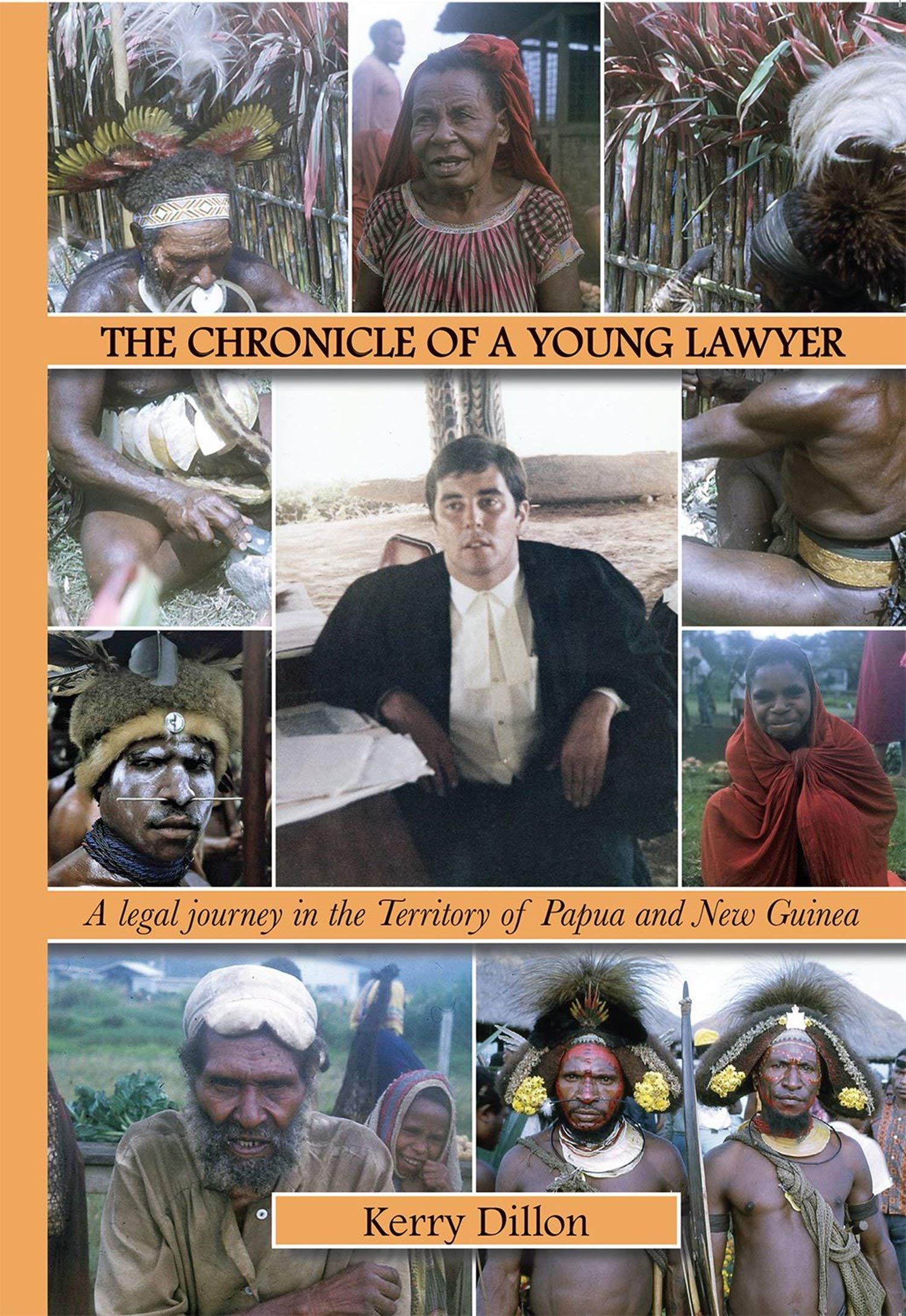 The Chronicle of a Young Lawyer: A Legal Journey in the Territory of ...