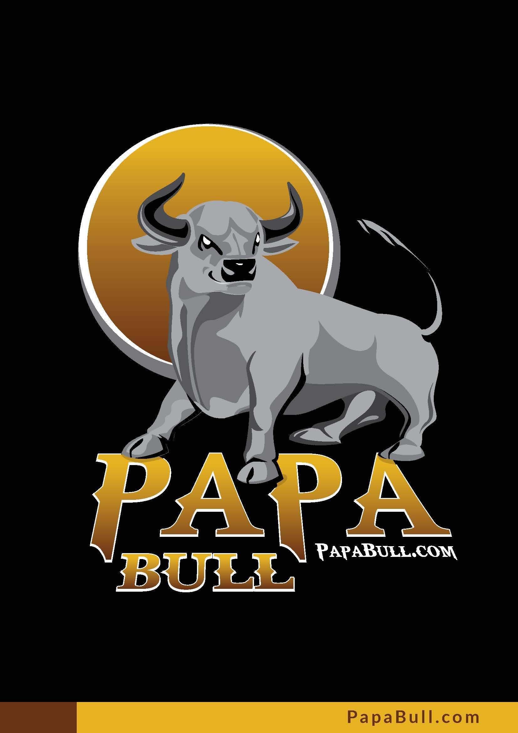 The Papa Bull: Your Step By Step Guide To Becoming A Confident ...