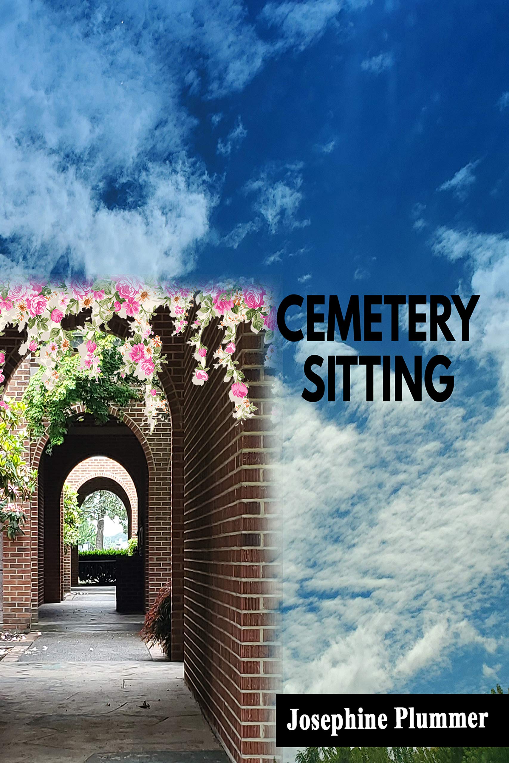 Cemetery Sitting by Josephine Plummer | Goodreads