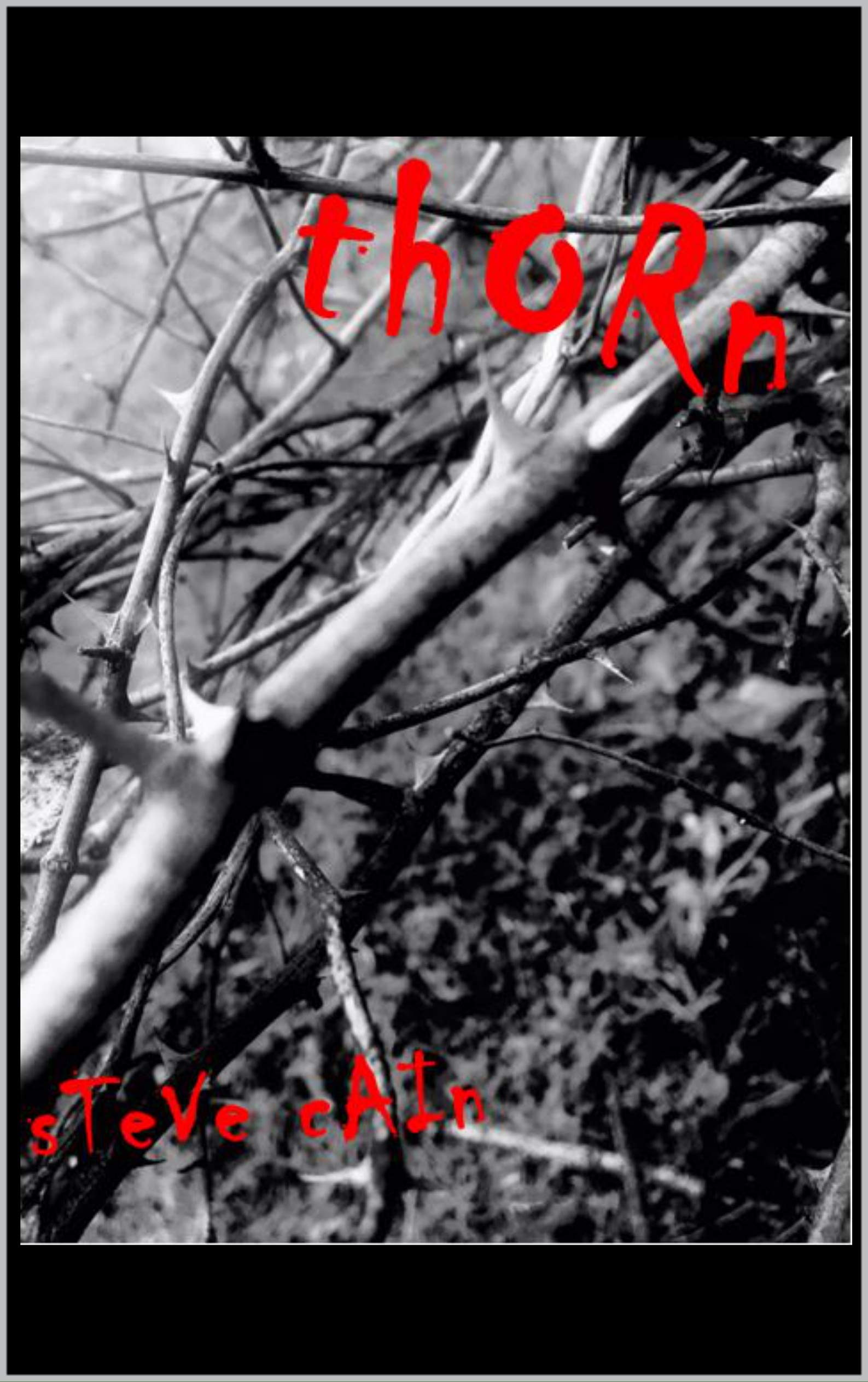 Thorn by Steve Cain | Goodreads