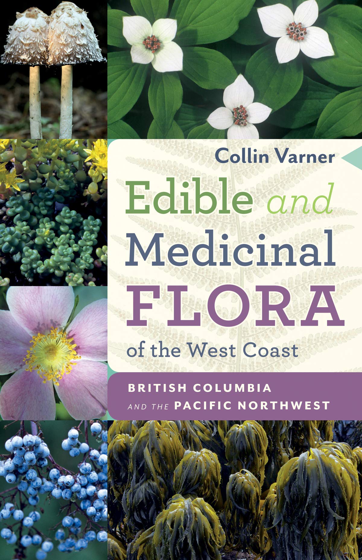 Edible and Medicinal Flora of the West Coast: British Columbia and the ...