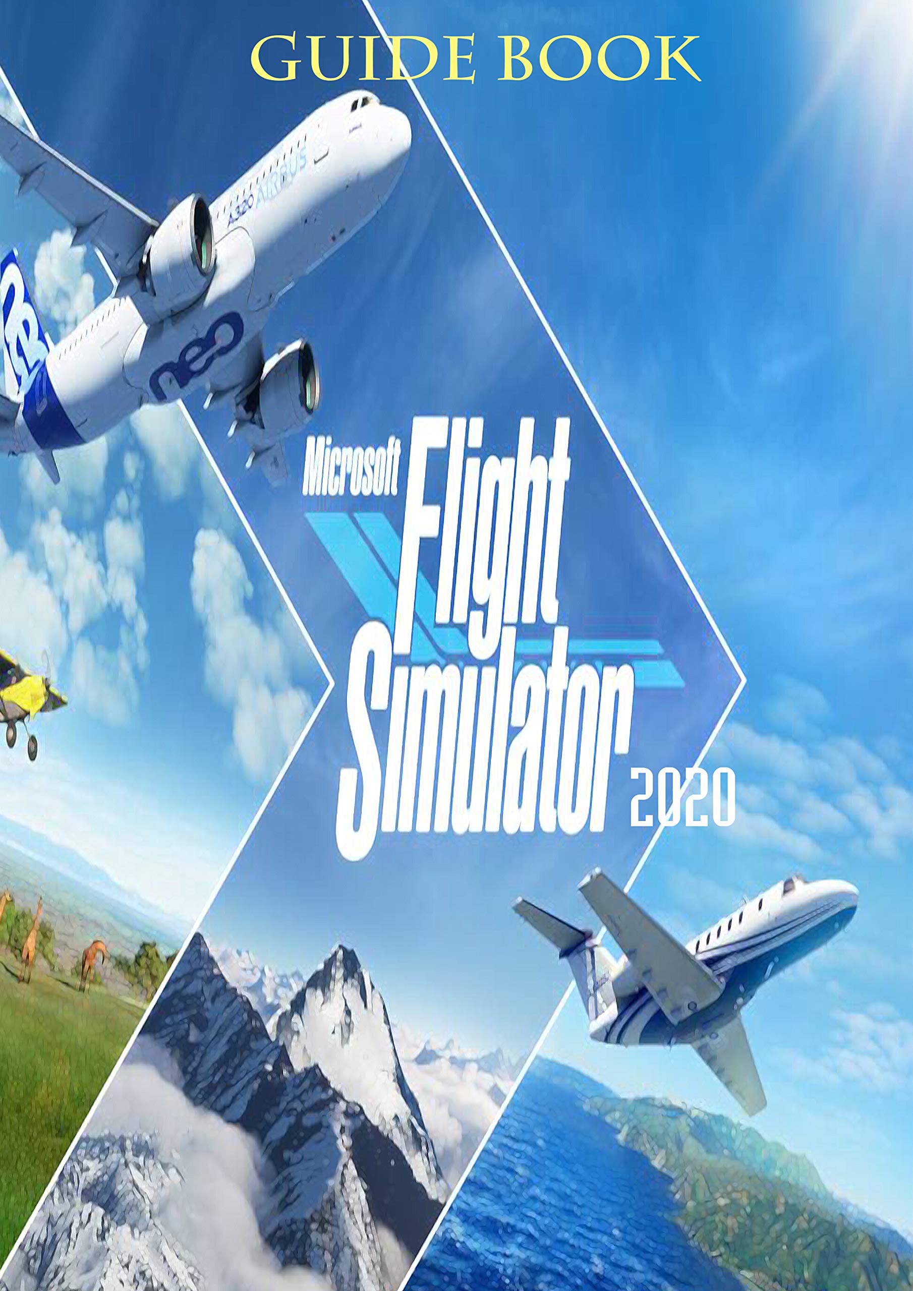 Microsoft Flight Simulator 2020 : Guide and Top Tips for Beginners. by ...