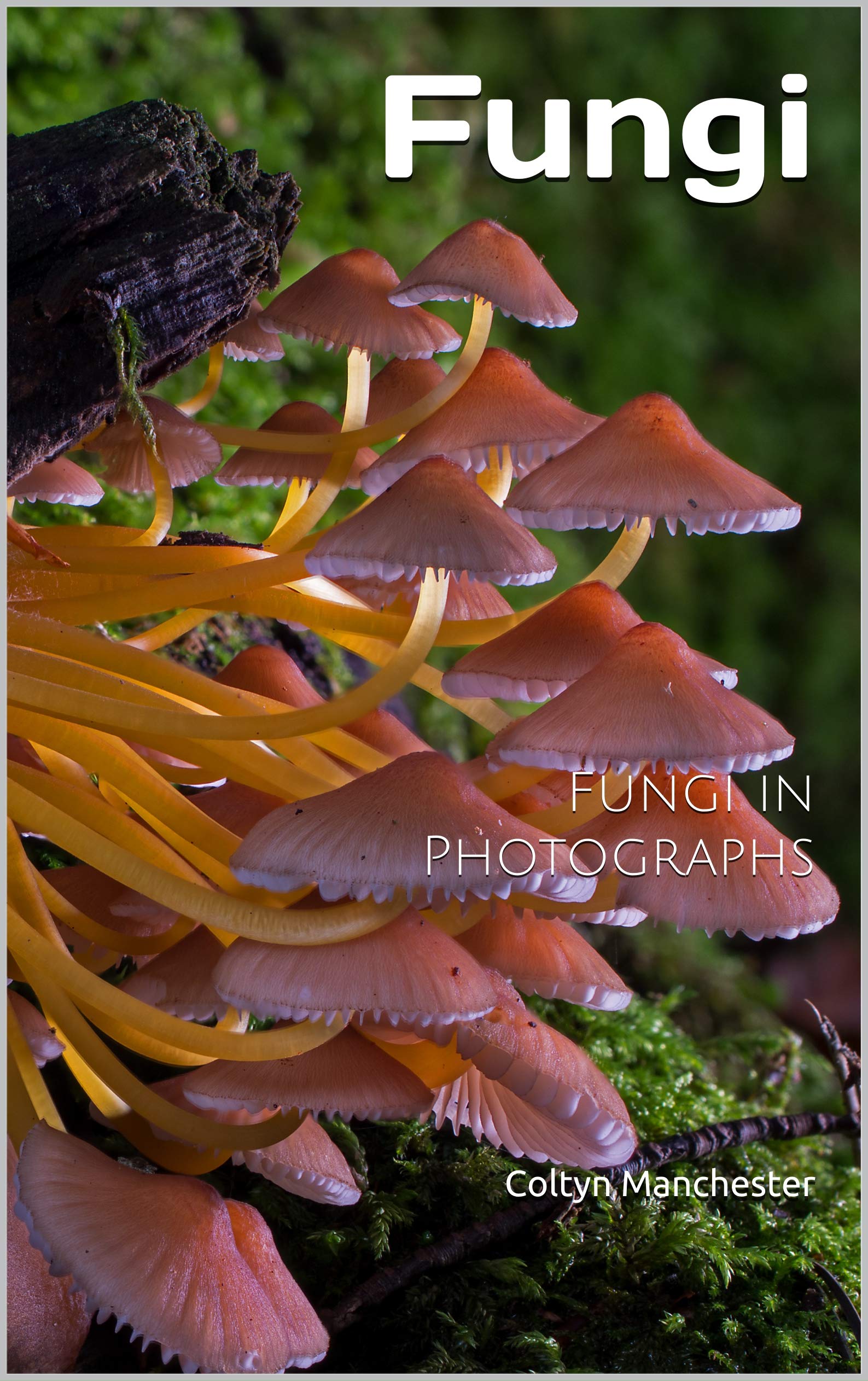 Fungi: Fungi in Photographs by Coltyn Manchester | Goodreads