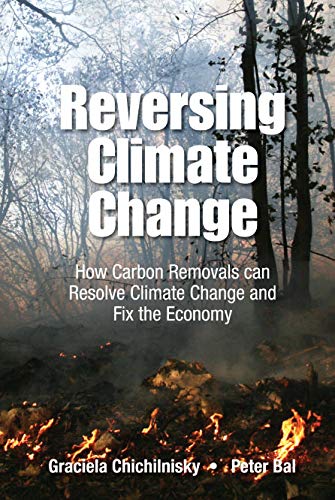 Reversing Climate Change: How Carbon Removals Can Resolve Climate ...