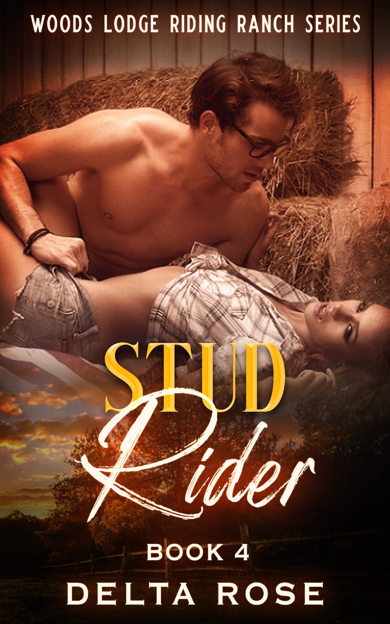 Stud Rider (Woods Lodge Riding Ranch Book 4): Contemporary Romance Short Stories by Delta Rose ...