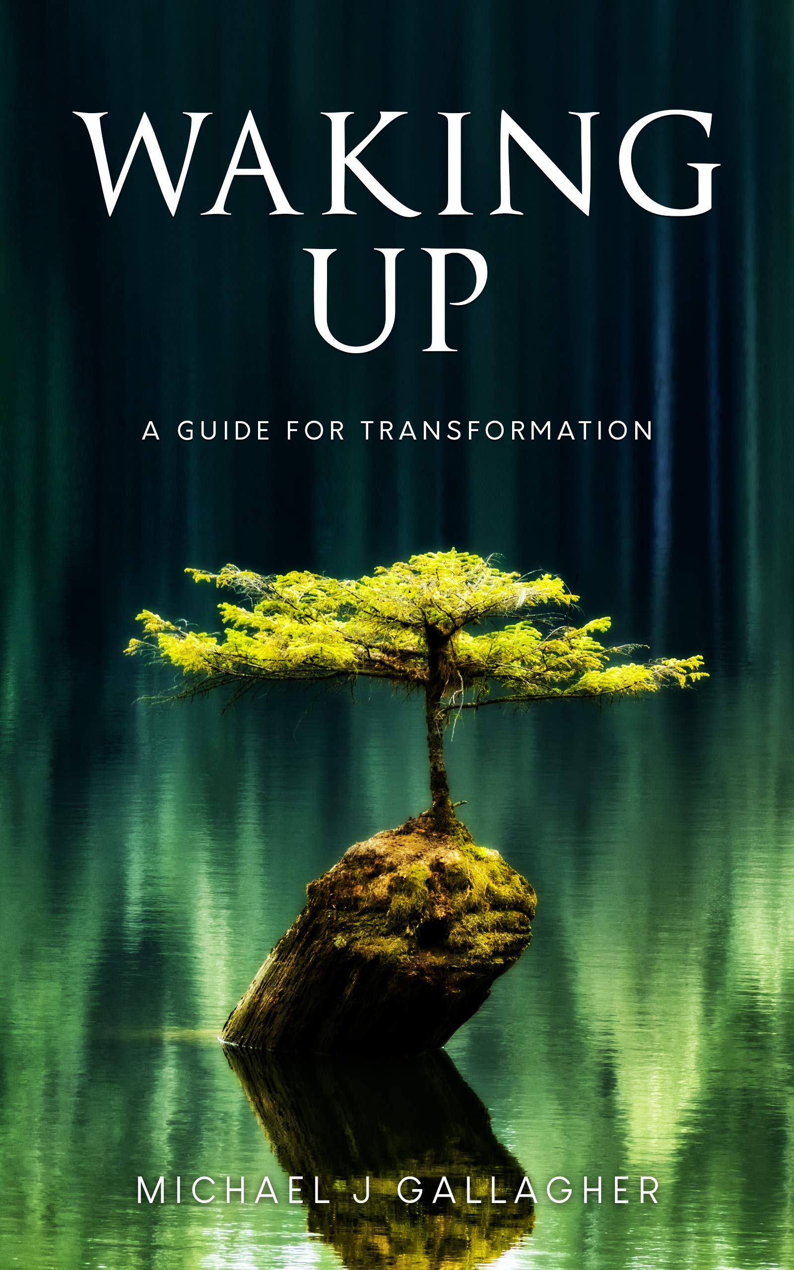 Waking Up: A Guide for Transformation by Michael J. Gallagher | Goodreads