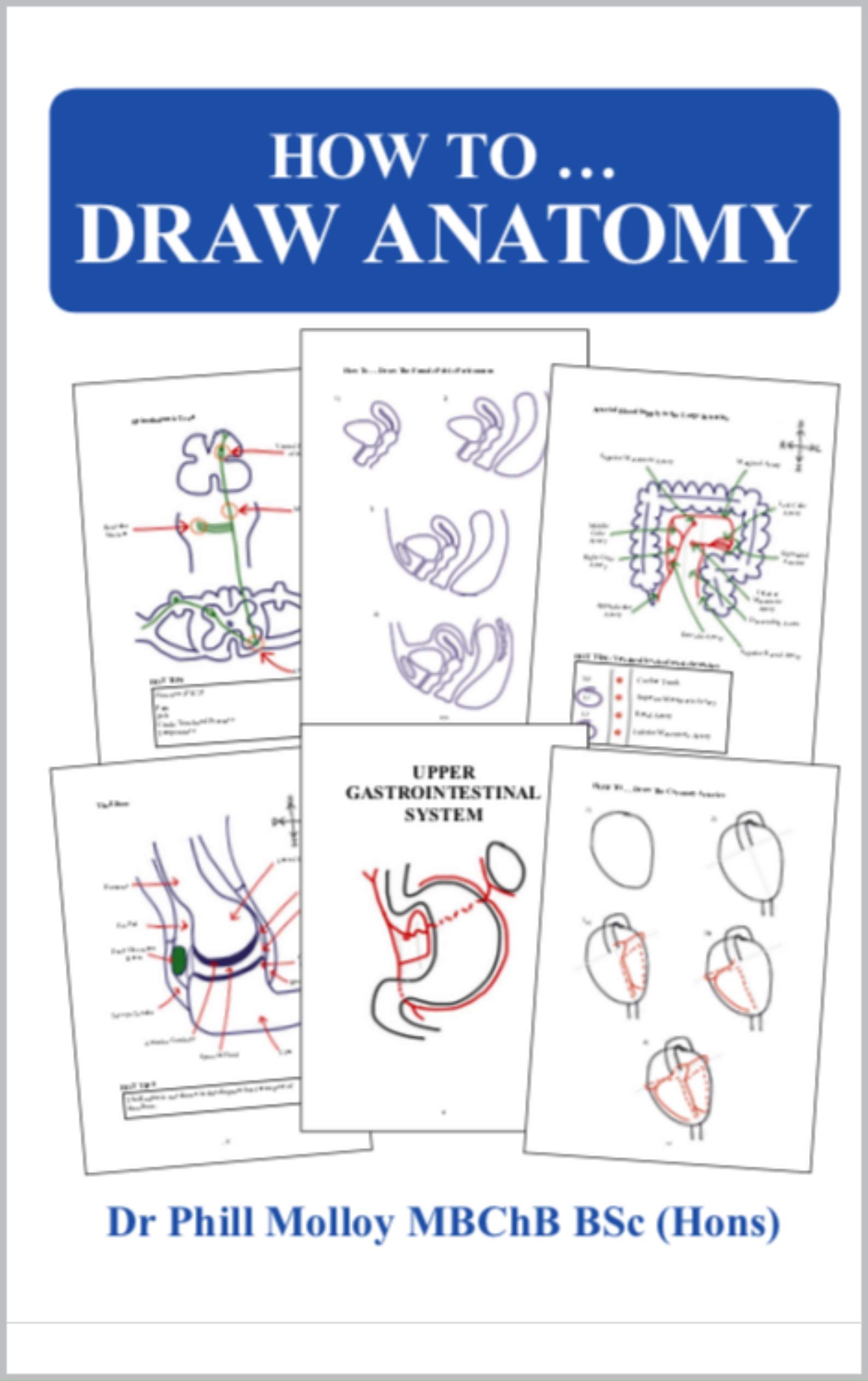 How To Draw Anatomy By Phillip Molloy Goodreads How To Draw Anatomy By Phillip Molloy Goodreads