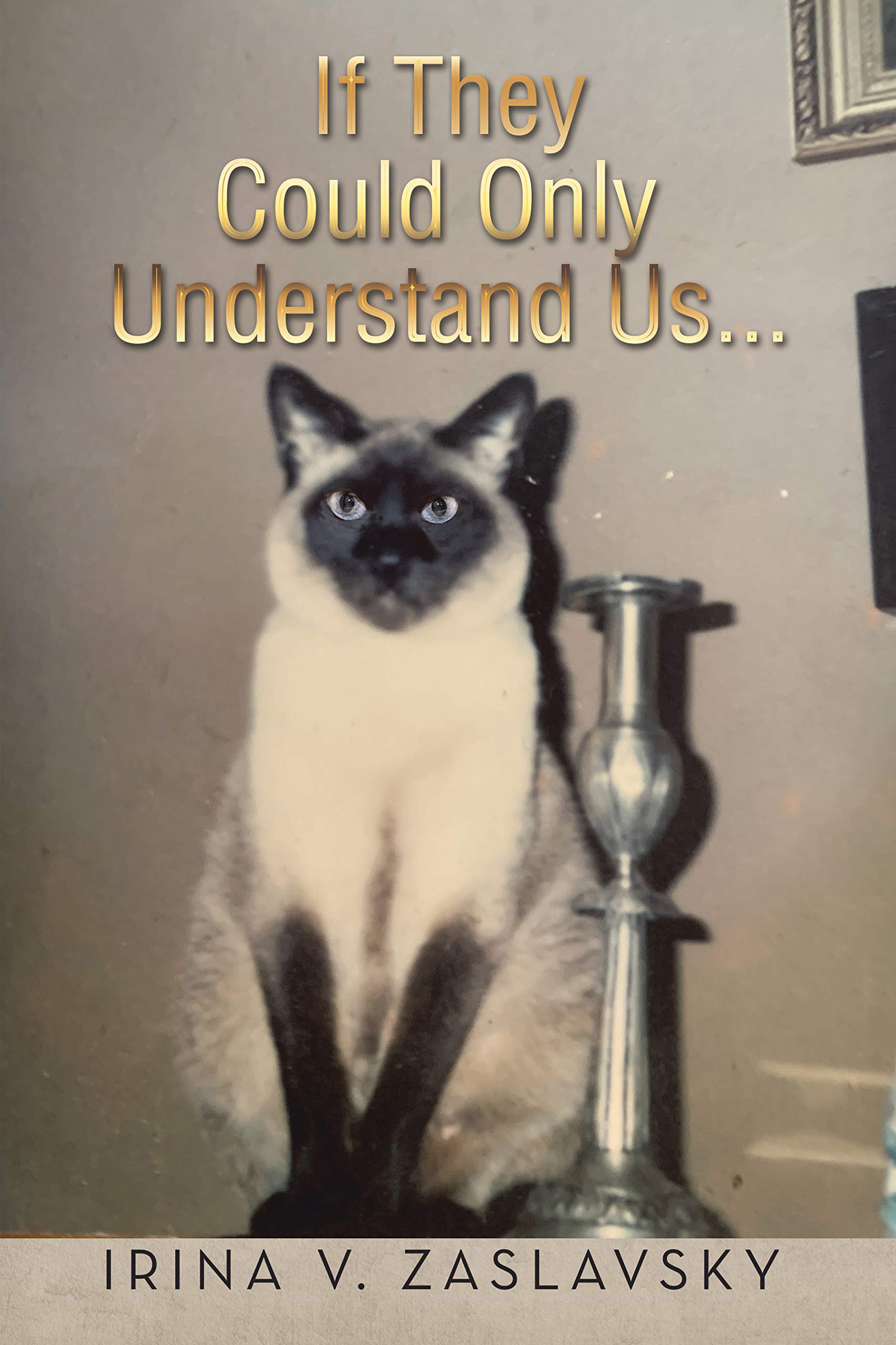 If They Could Only Understand Us... by Irina V. Zaslavsky | Goodreads