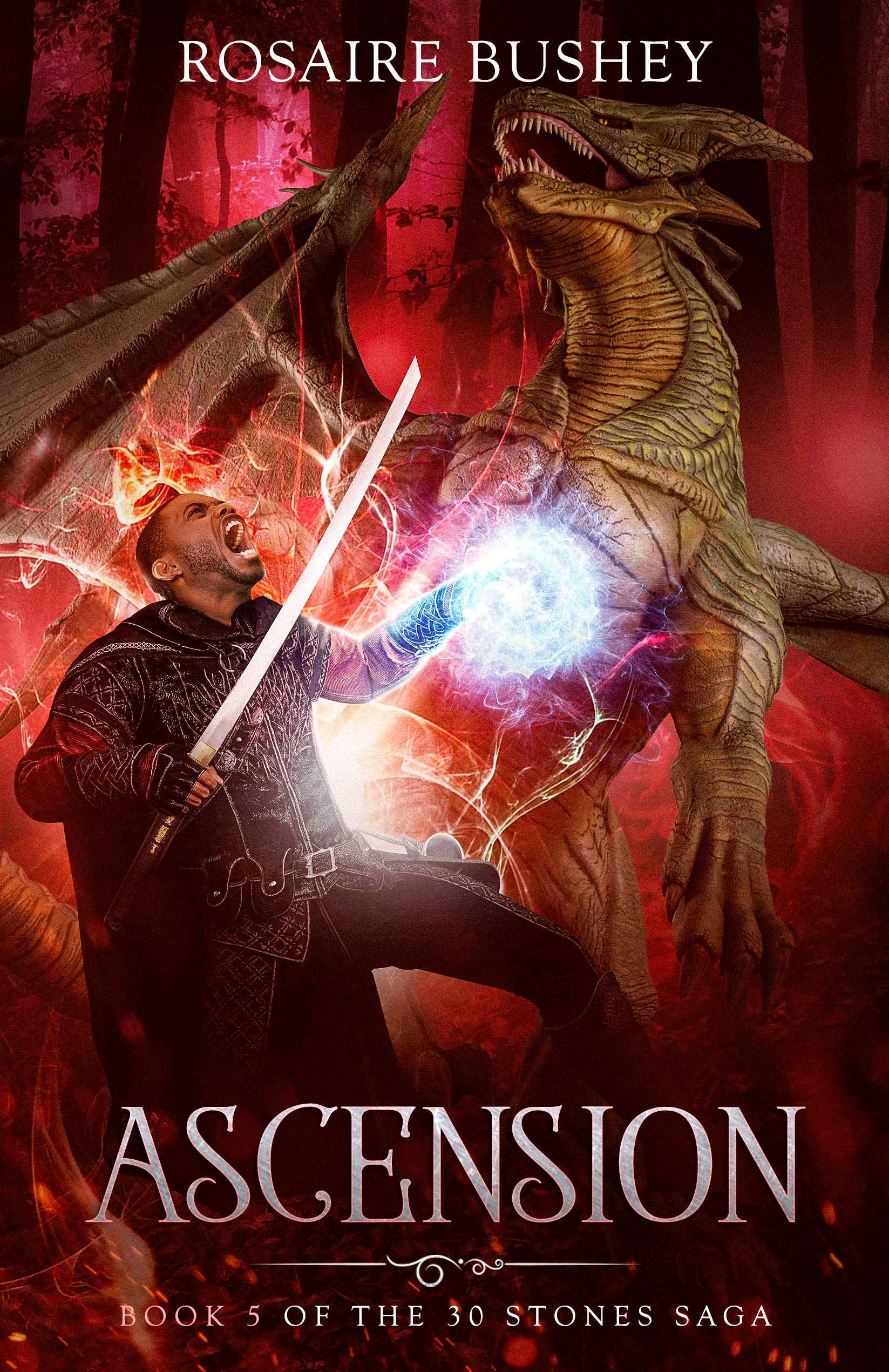 Ascension: 30 Stones Saga by Rosaire Bushey | Goodreads