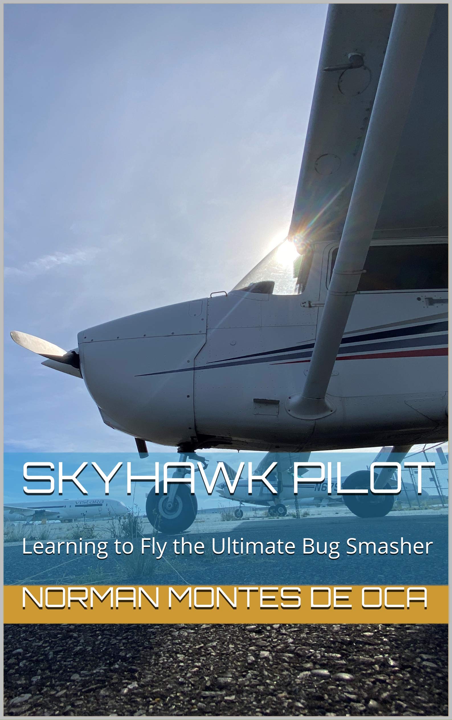 Skyhawk Pilot: Learning to Fly the Ultimate Bug Smasher by Norman ...