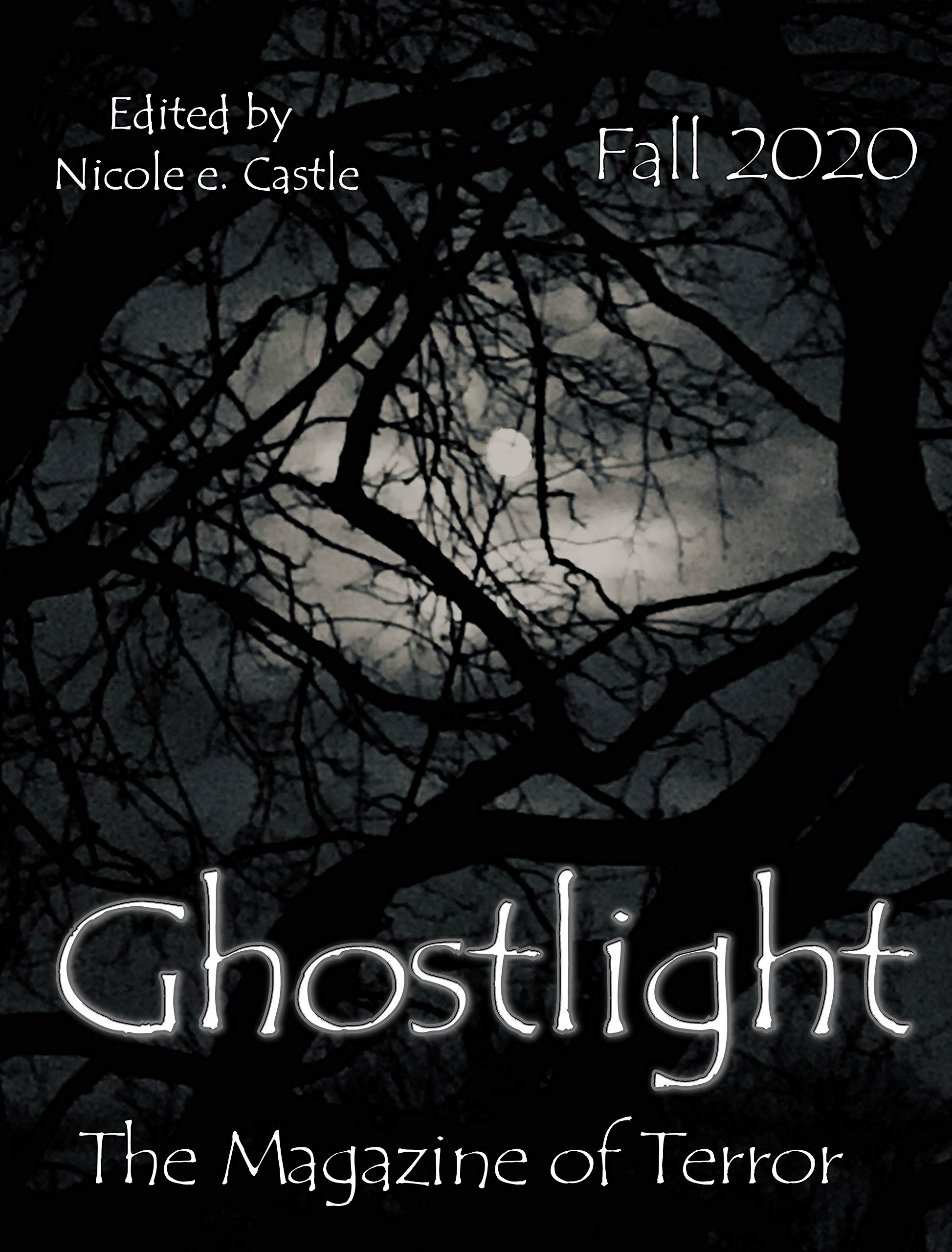 Ghostlight, The Magazine of Terror: Fall 2020 by Nicole E. Castle ...