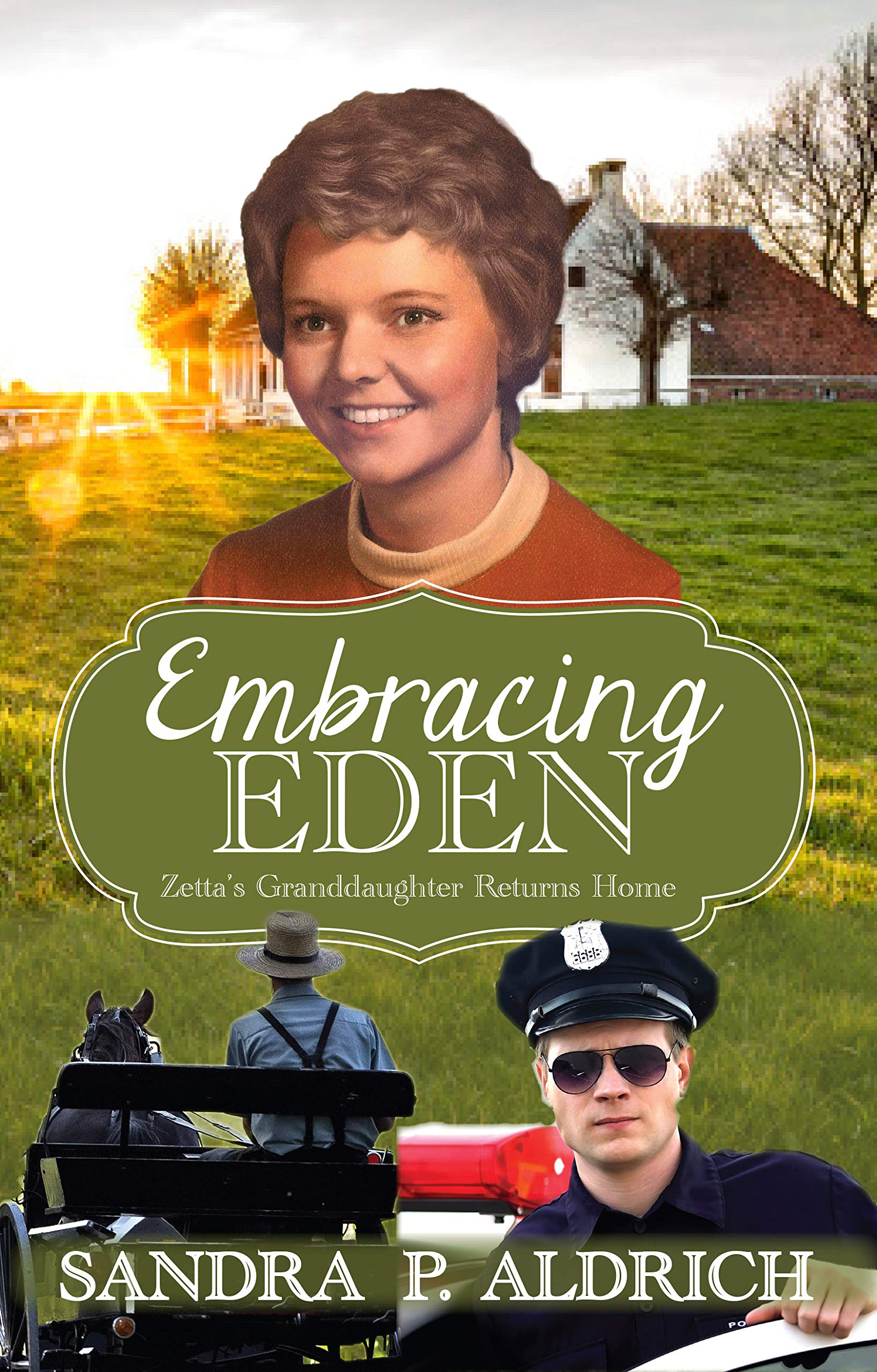 Embracing Eden: Zetta's Granddaughter Returns Home by Sandra Aldrich ...