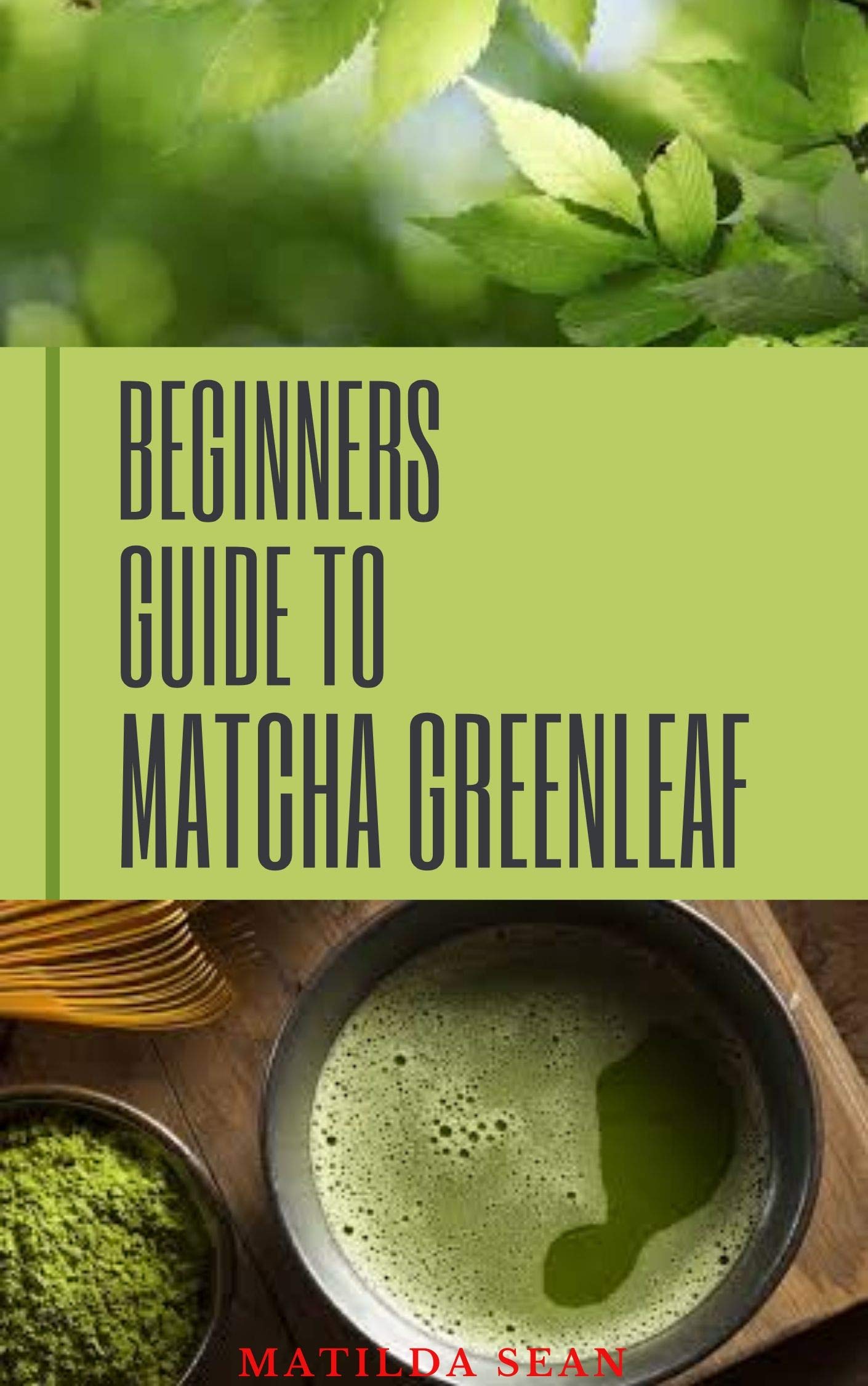 BEGINNERS GUIDE TO MATCHA GREENLEAF: A unique typical green tea that ...