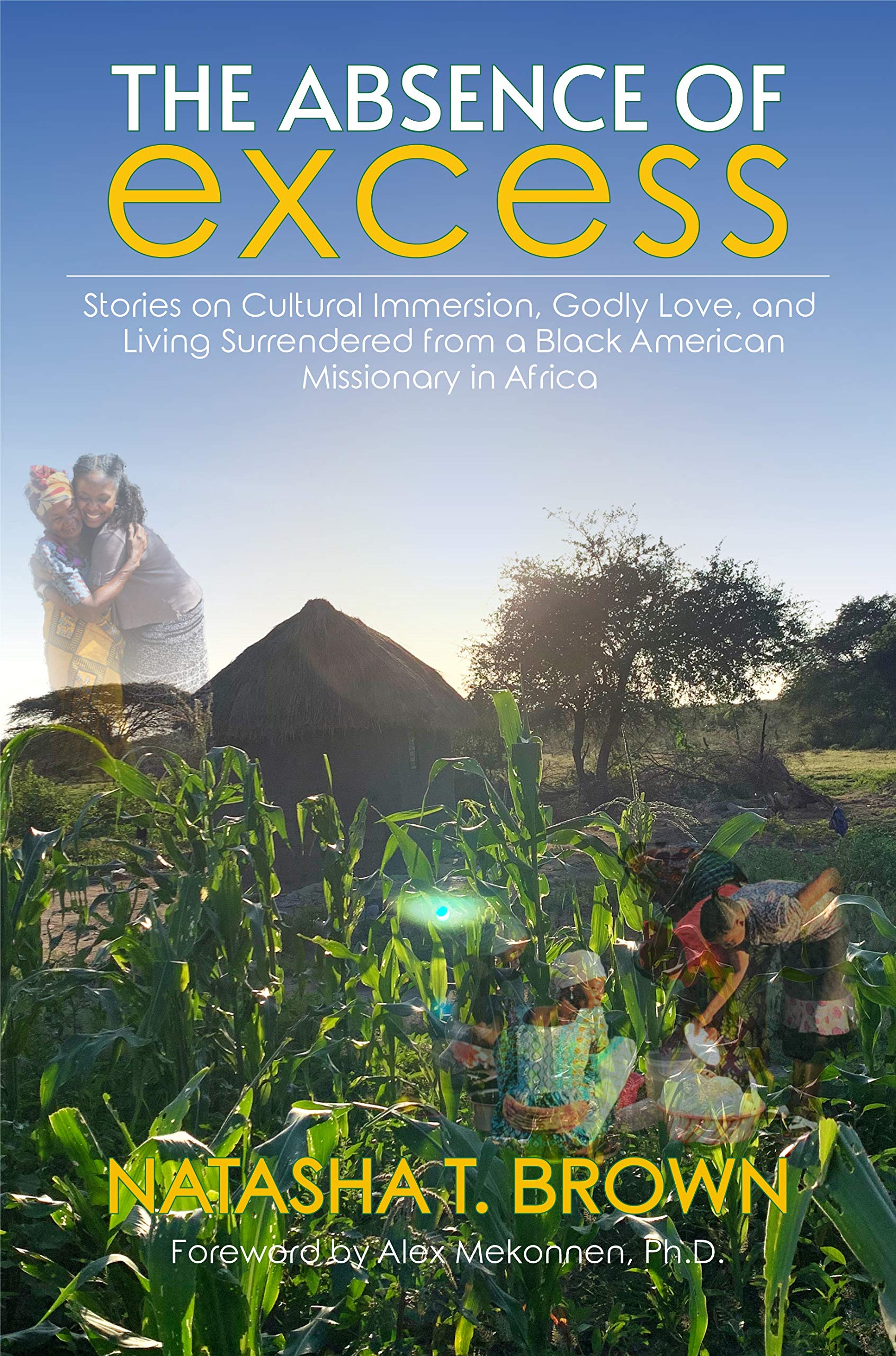 The Absence of Excess : Stories on Cultural Immersion, Godly Love, and ...