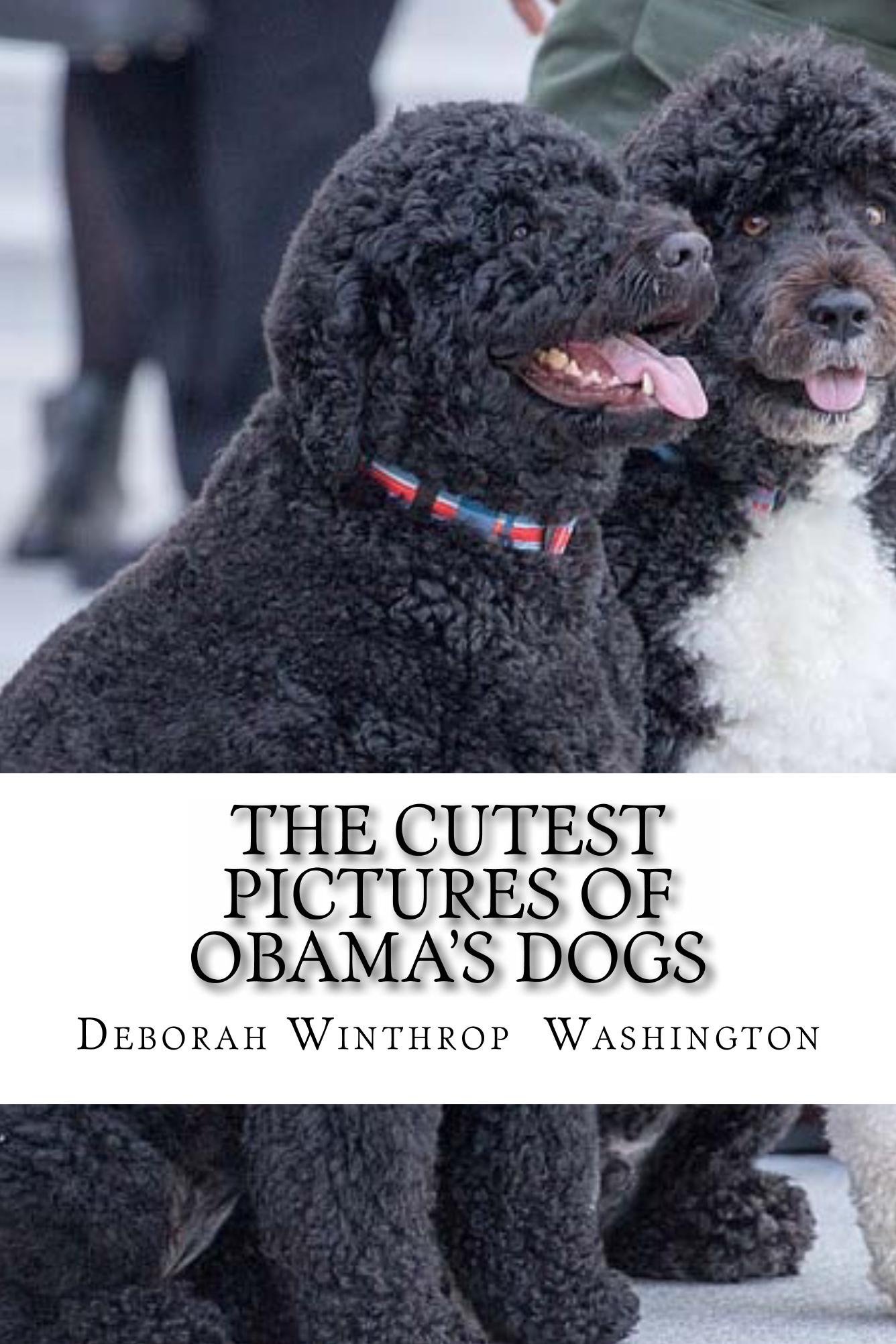 The Cutest Pictures of Obama's Dogs by Deborah Winthrop Washington ...