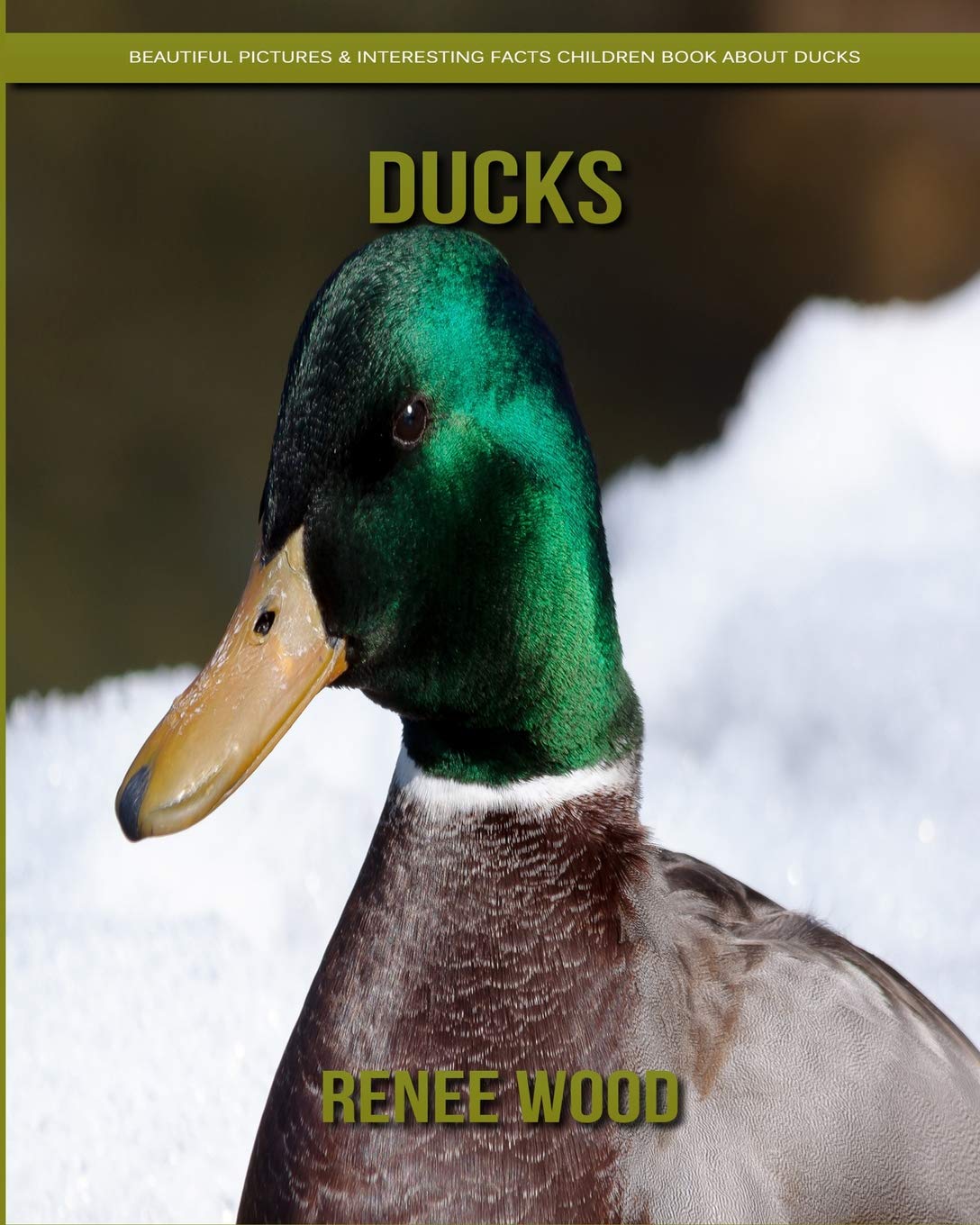 Best Children S Books About Ducks at Kristopher Chambers blog