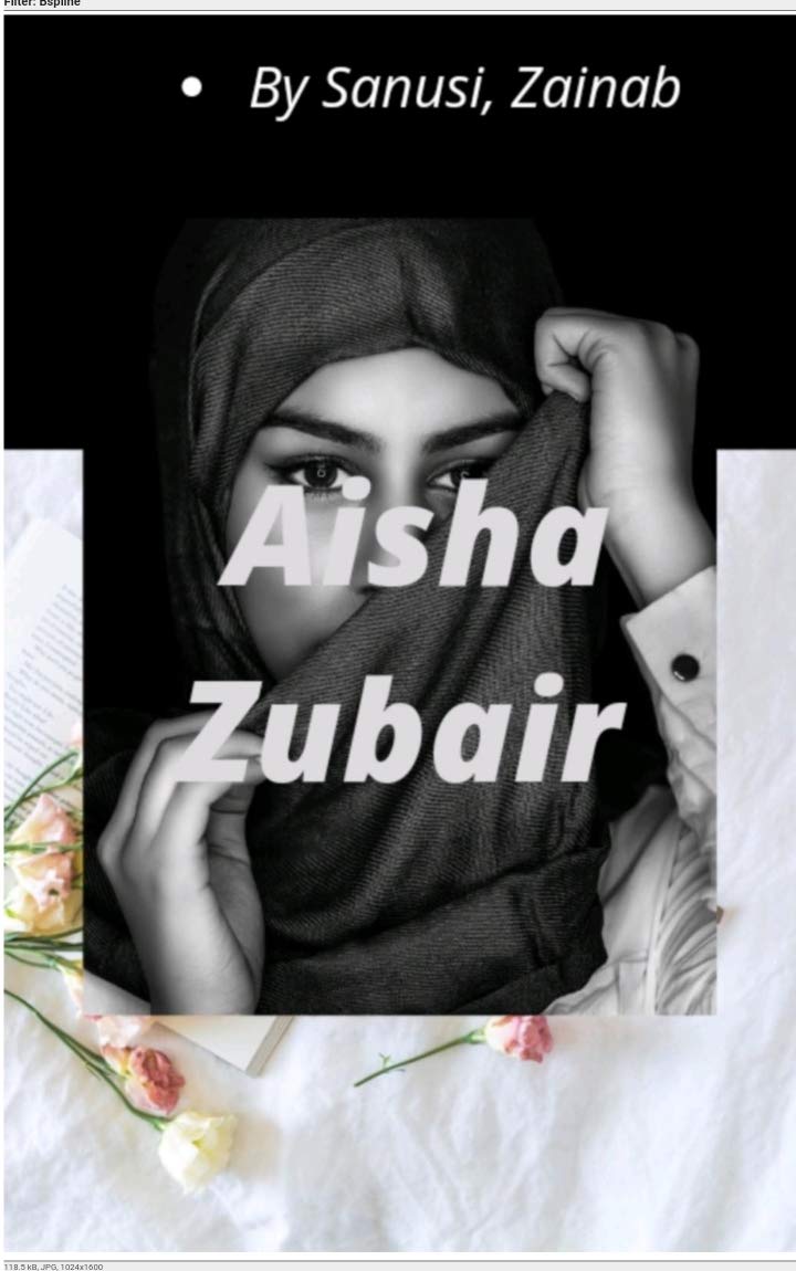 Aisha Zubair (Veiled Jewels Book 1) by Zainab Sanusi | Goodreads