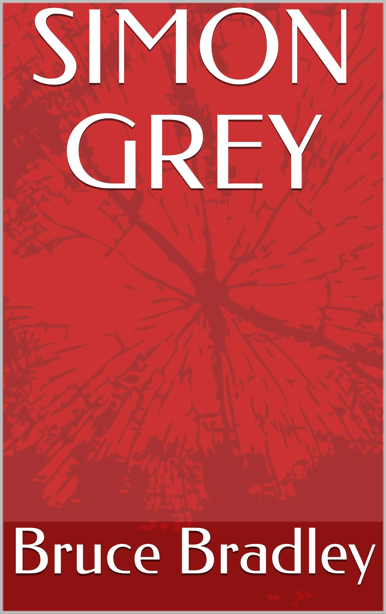SIMON GREY by Bruce Bradley | Goodreads