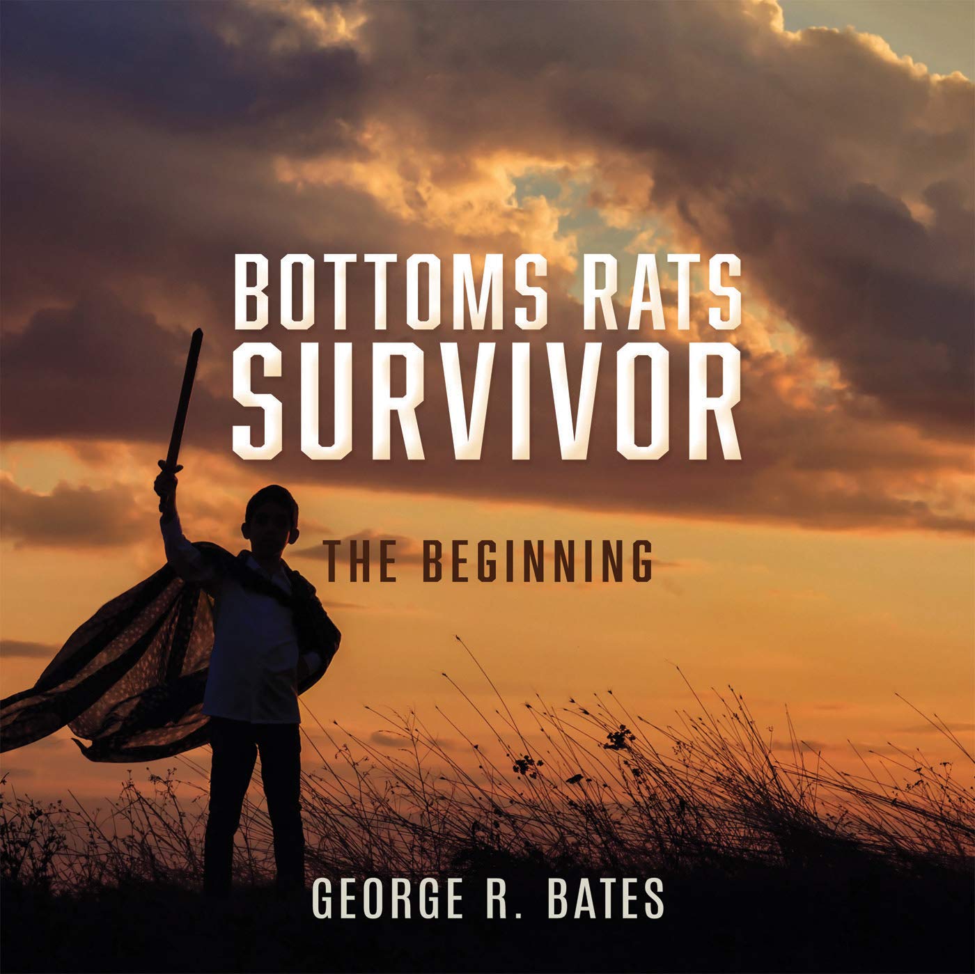 BOTTOMS RATS SURVIVOR: The Beginning by George R. Bates | Goodreads