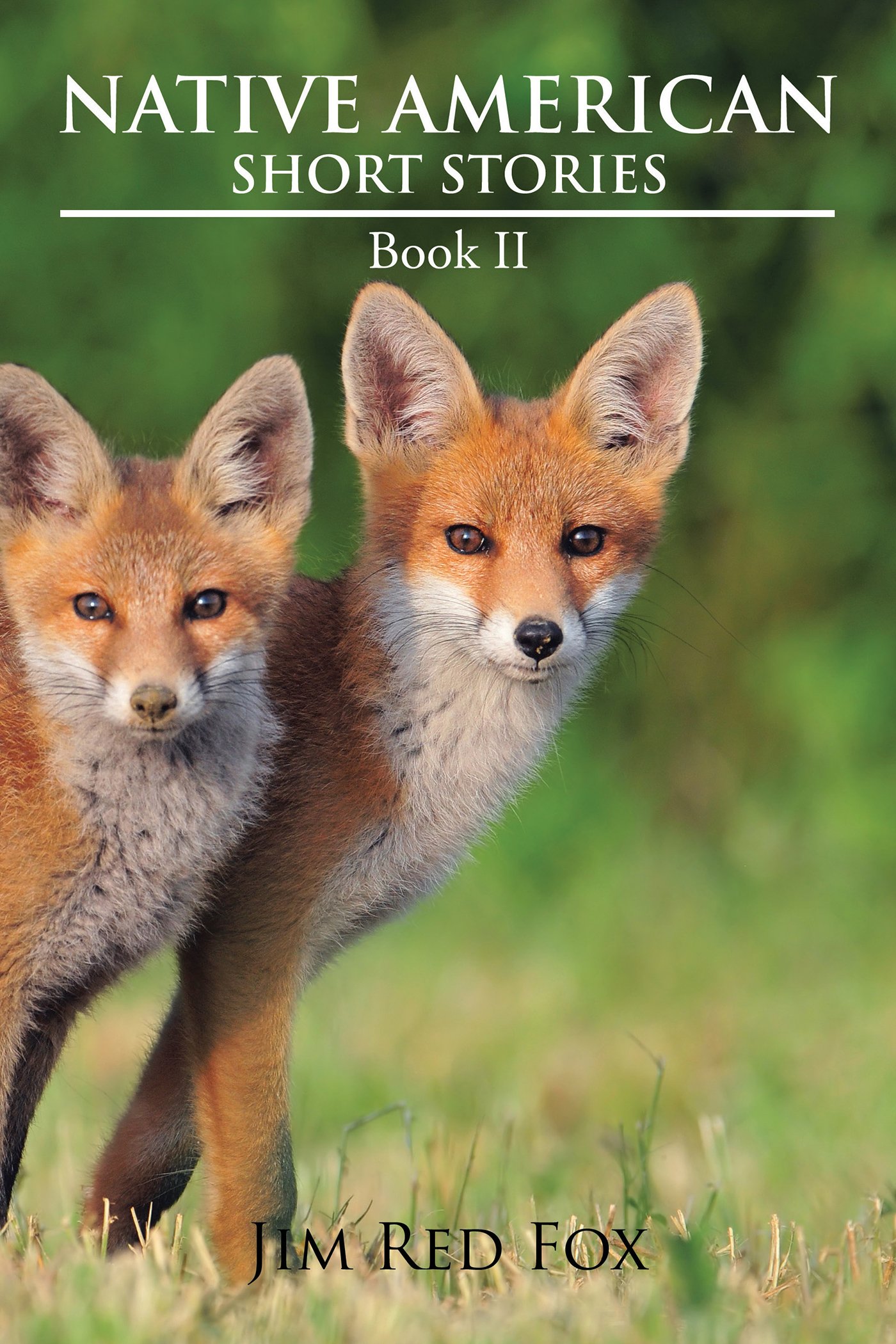 Native American Short Stories Book Ii By Jim Red Fox Goodreads native-american-short-stories-book-ii-by-jim-red-fox-goodreads