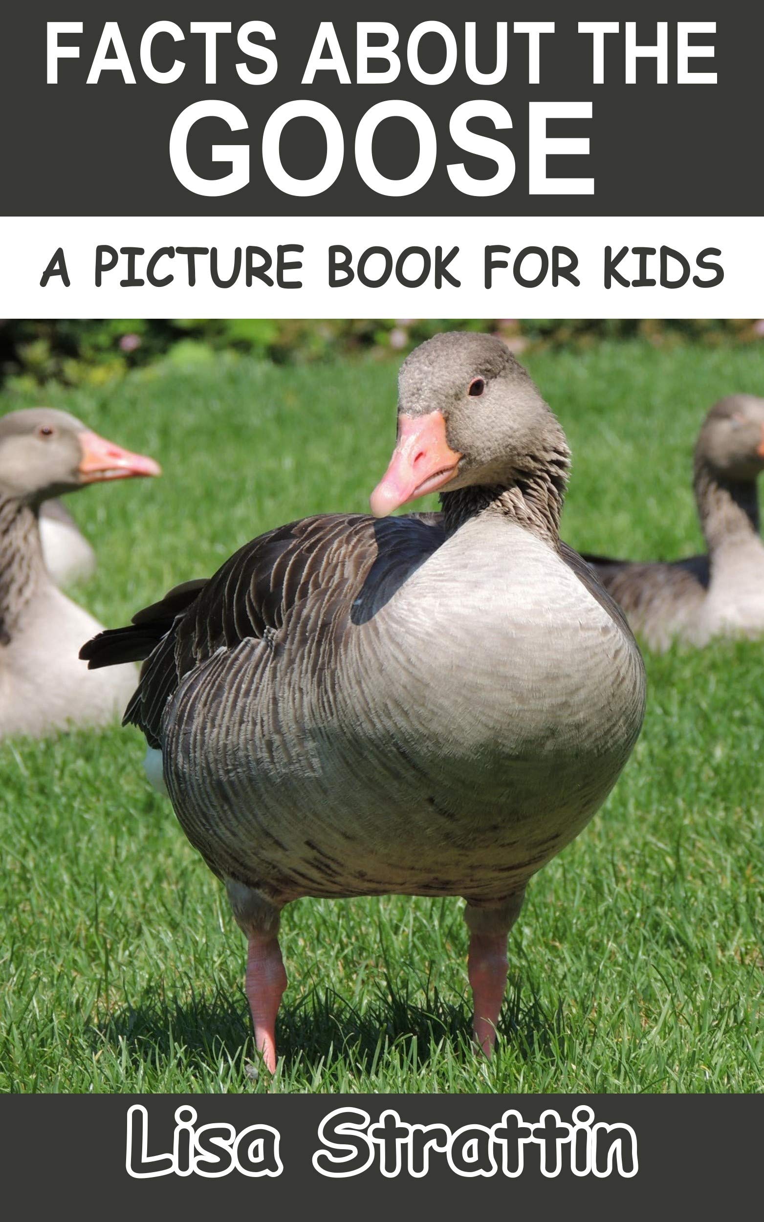 Facts About the Goose (A Picture Book For Kids 194) by Lisa Strattin ...