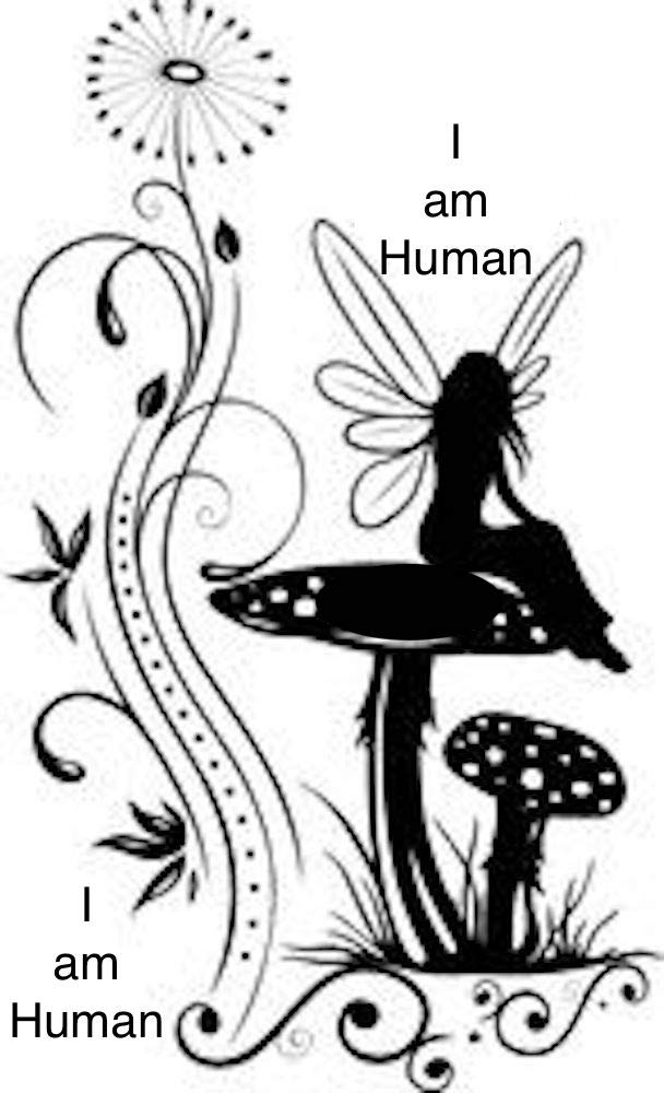 I am Human: The Fairy Princess by Josefina Brown | Goodreads