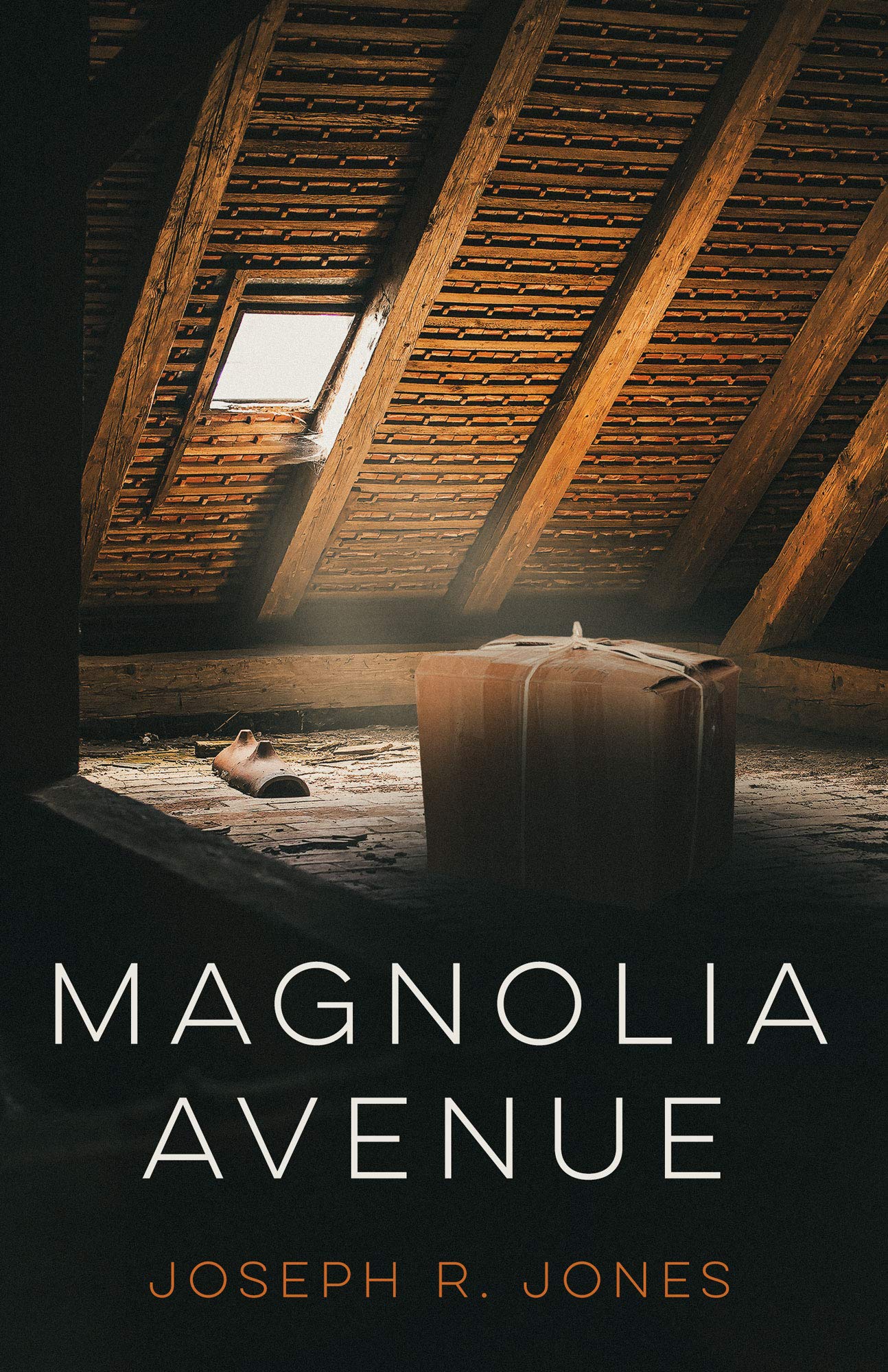 Magnolia Avenue by Joseph R. Jones | Goodreads