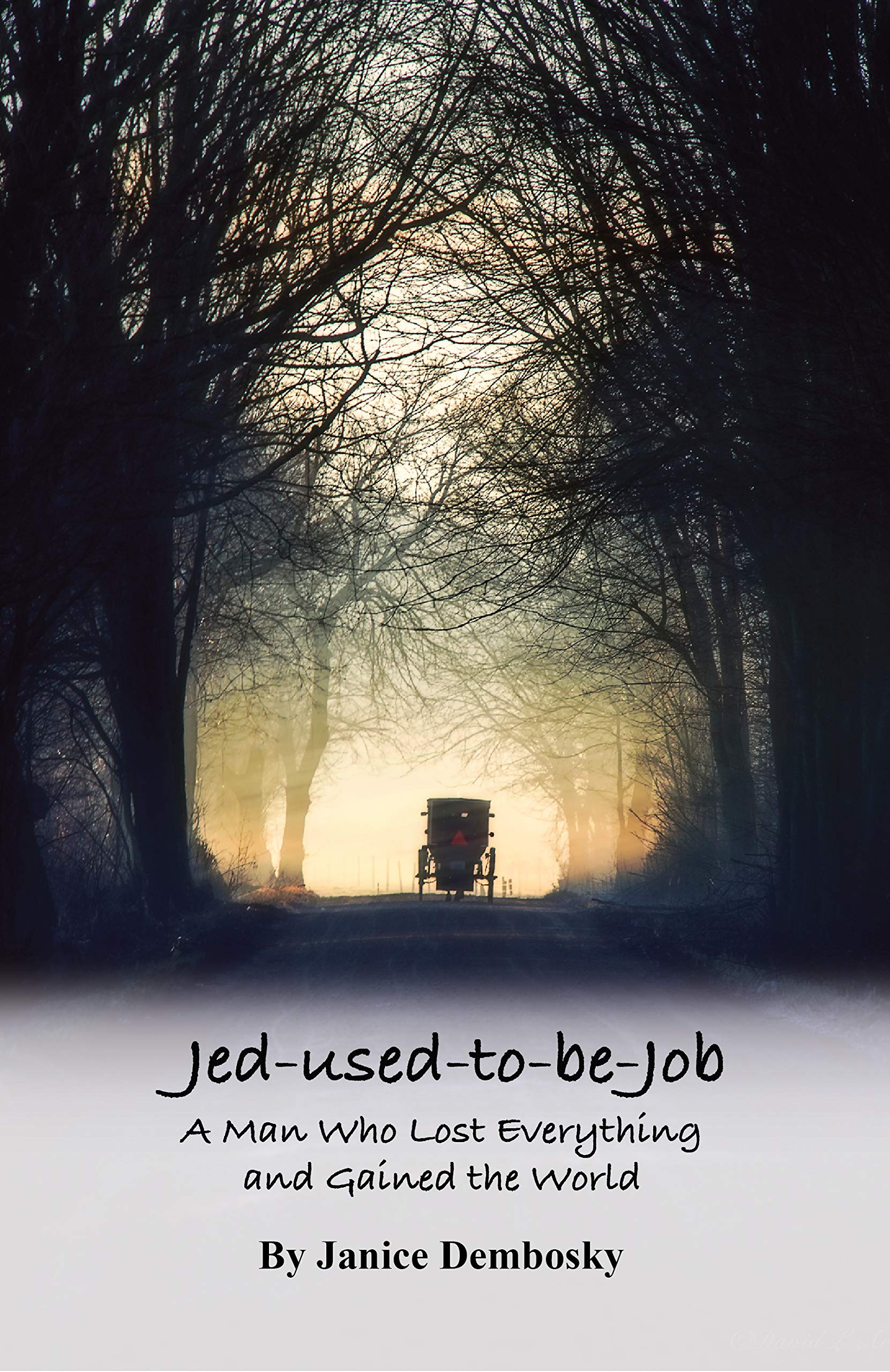 Jed-used-to-be-Job: A Man Who Lost Everything and Gained the World by ...