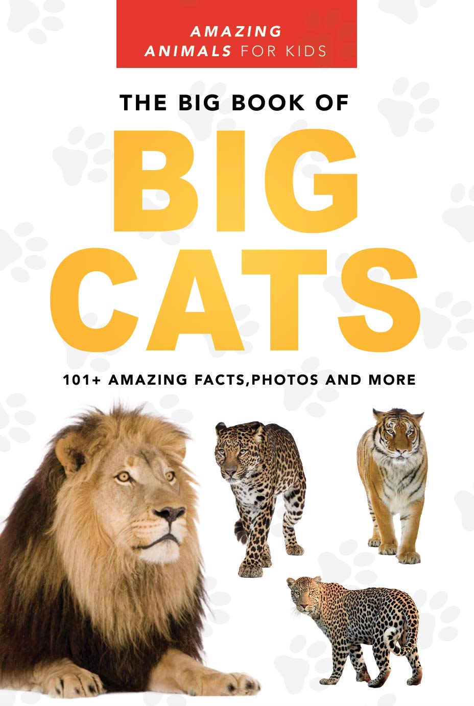 The Big Book of Big Cats: 101+ Amazing Facts, Photos and More: Lions ...