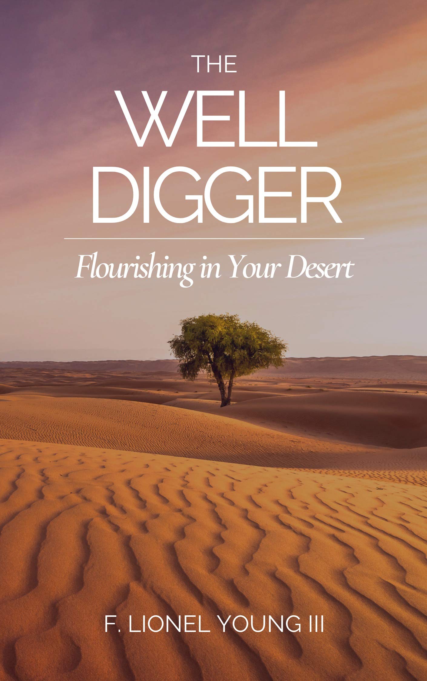 The Well Digger: Flourishing in Your Desert by F. Lionel Young III ...