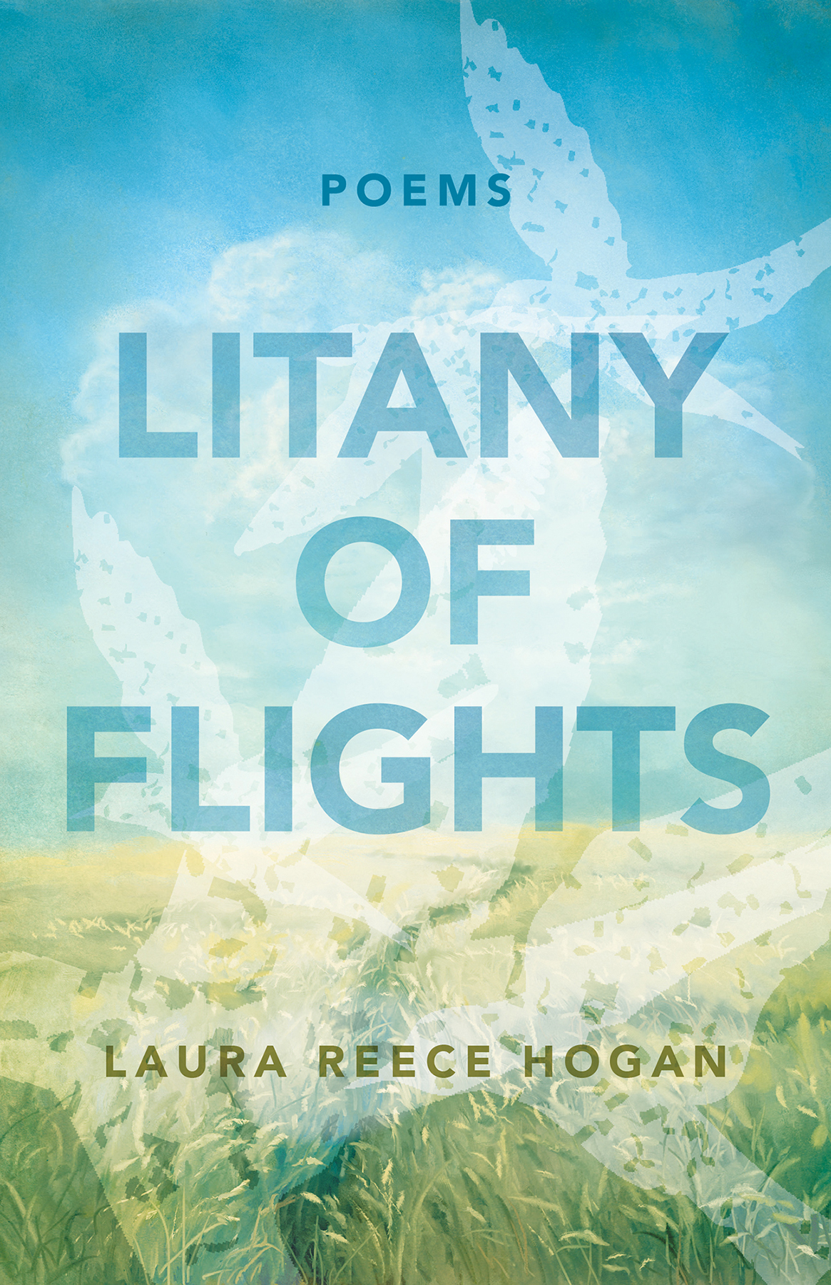 Litany of Flights: Poems (Paraclete Poetry) by Laura Reece Hogan ...