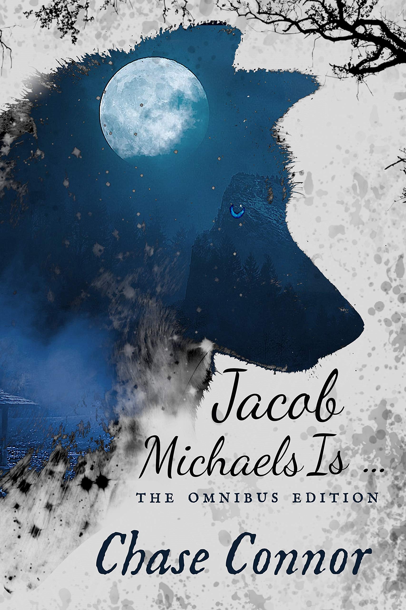Jacob Michaels Is... The Omnibus Edition by Chase Connor | Goodreads