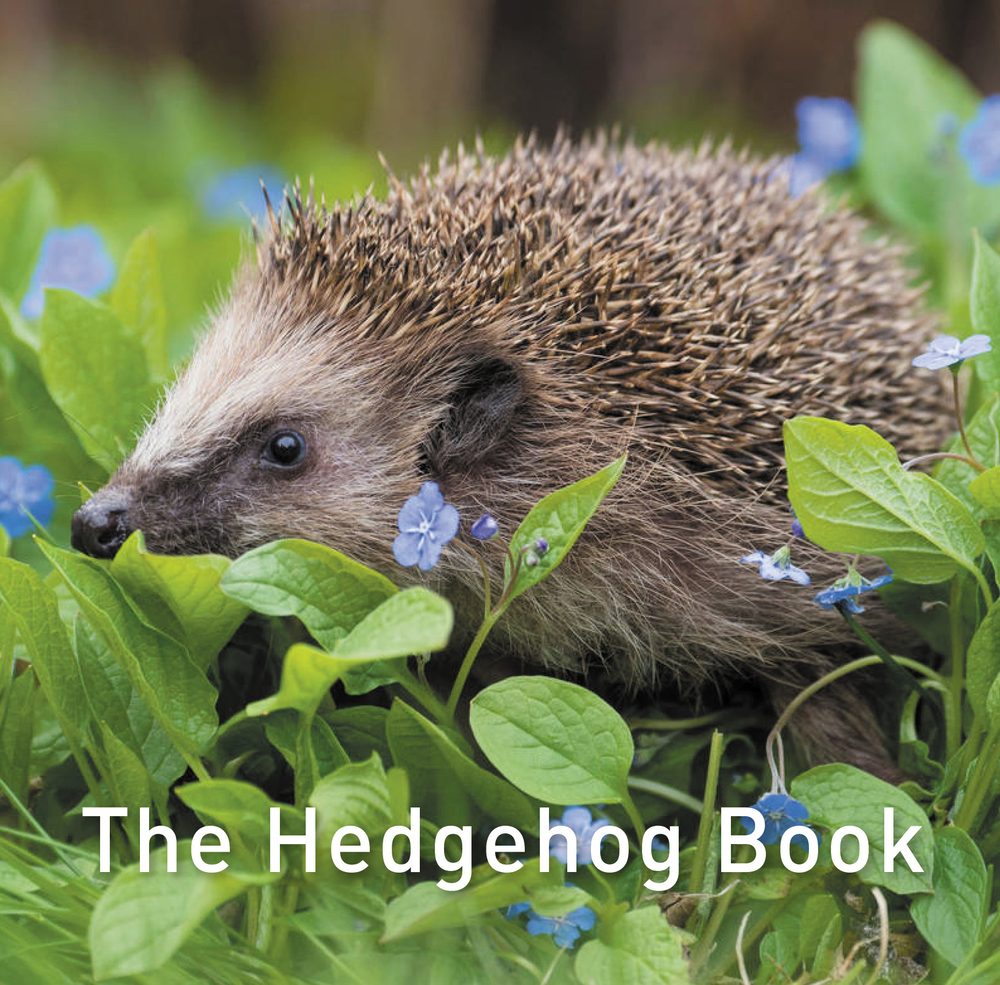 The Hedgehog Book by Hugh Warwick | Goodreads