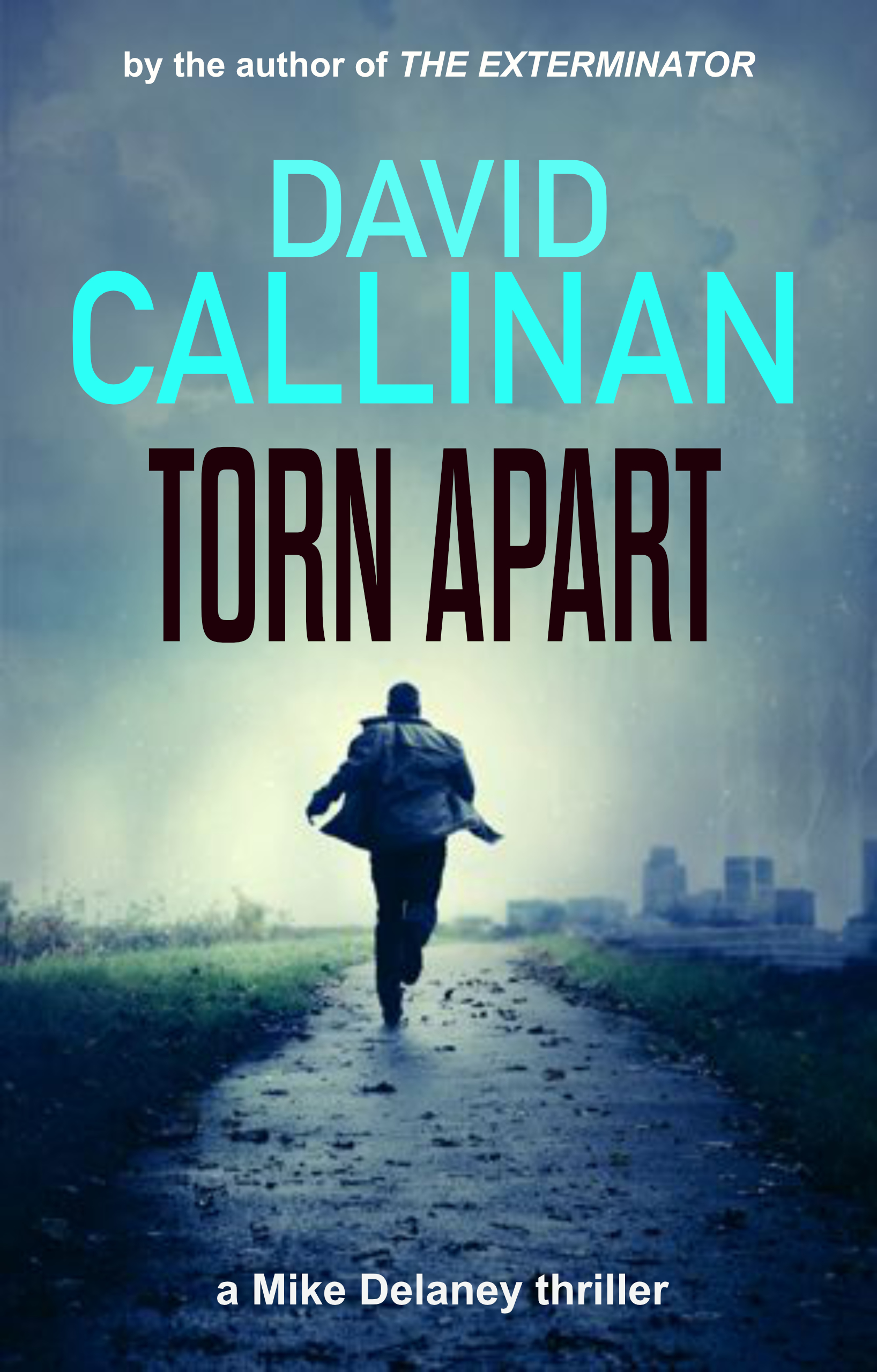 Torn Apart (Mike Delaney Thriller #2) by David Callinan | Goodreads
