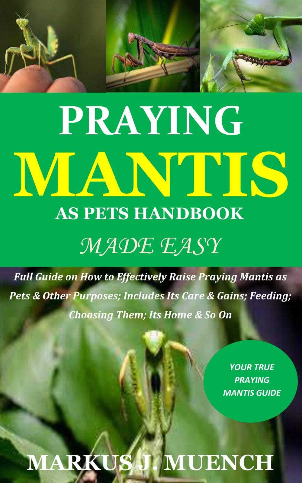 Praying Mantis as Pets Handbook Made Easy: Full Guide on How to ...