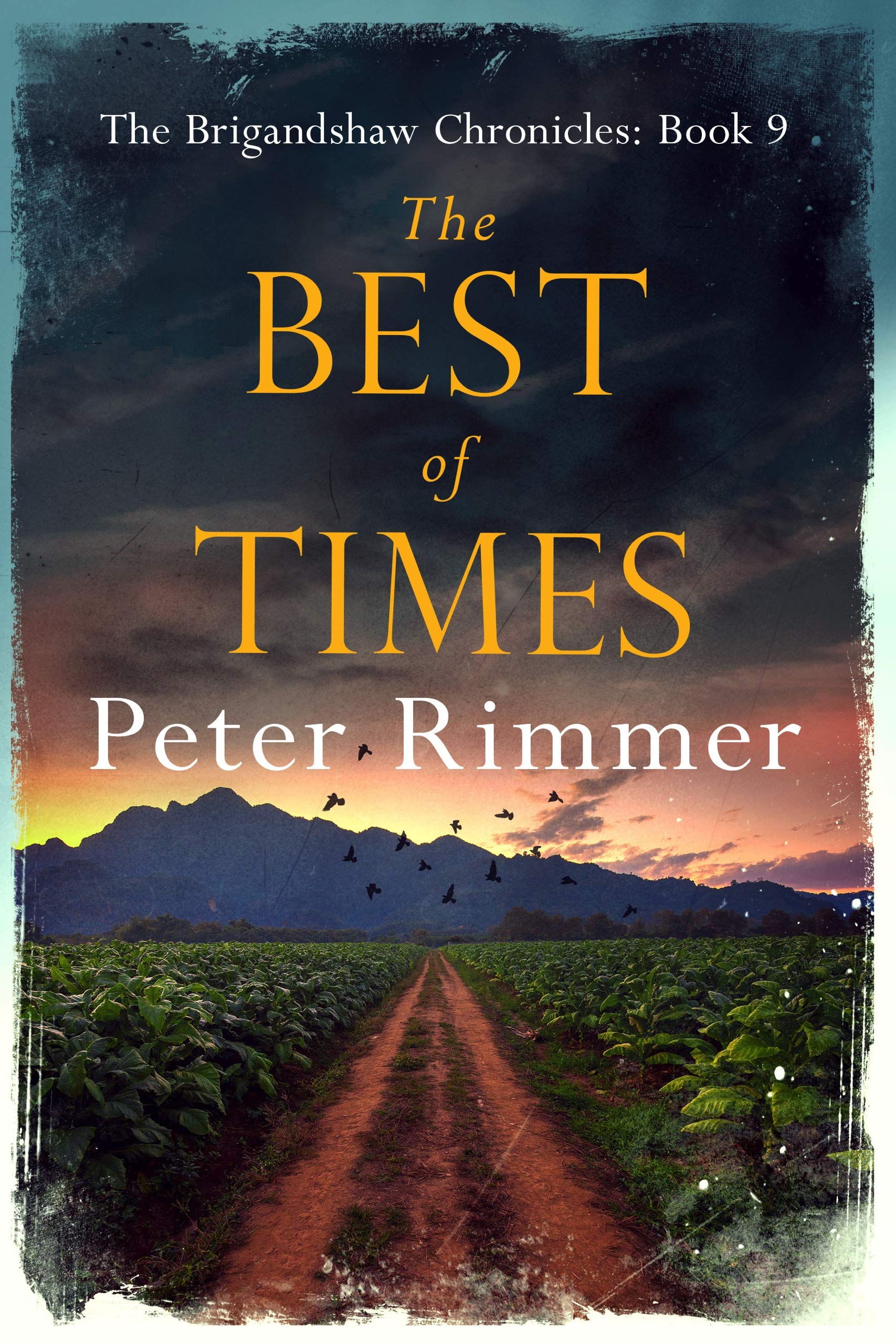 The Best of Times (The Brigandshaw Chronicles #9) by Peter Rimmer ...