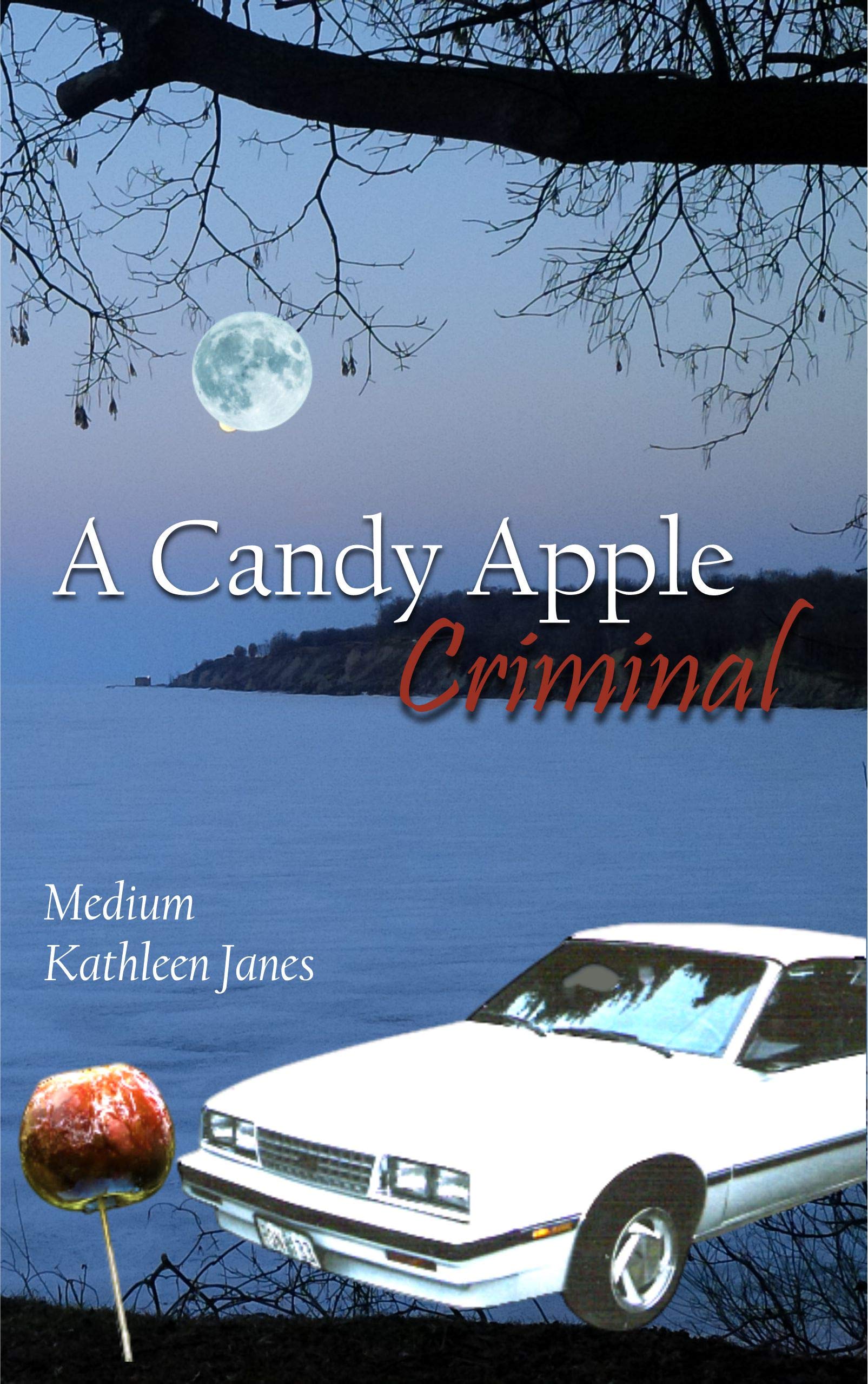 A Candy Apple Criminal by Kathleen Janes | Goodreads
