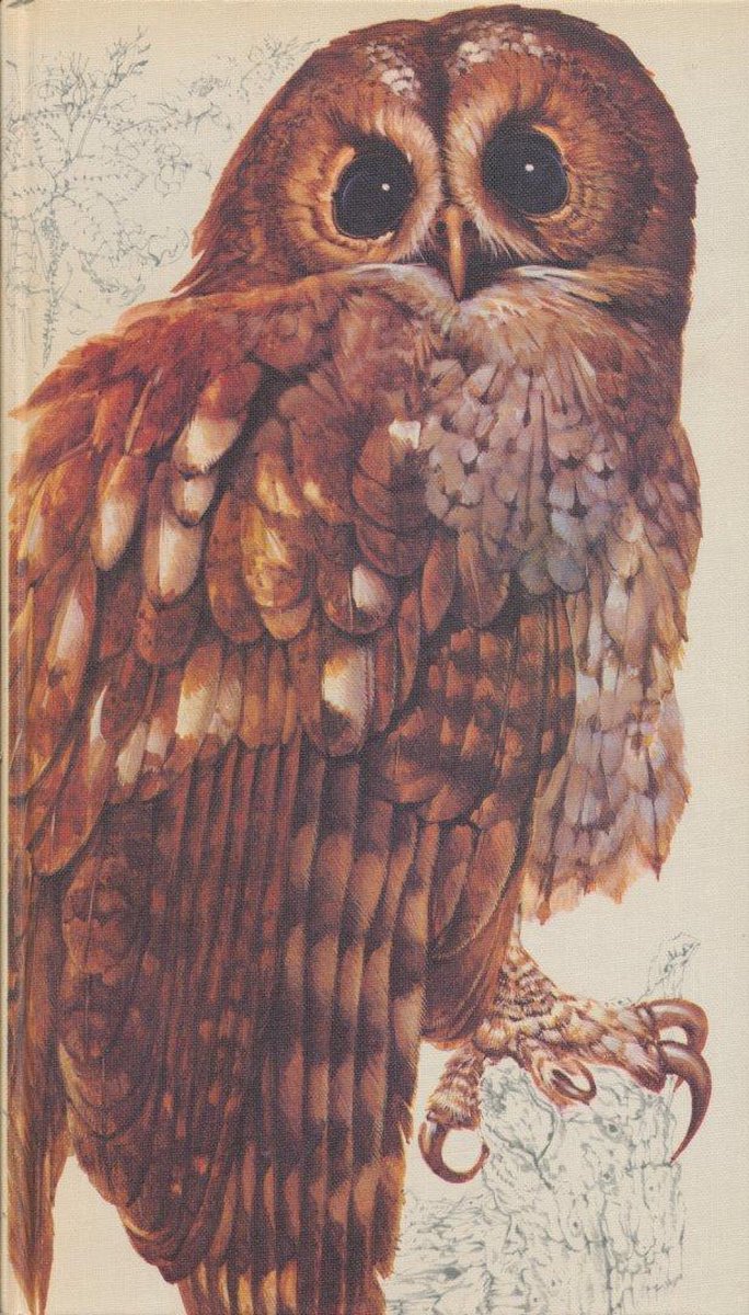 Het Beste Vogelboek by Reader's Digest Association | Goodreads