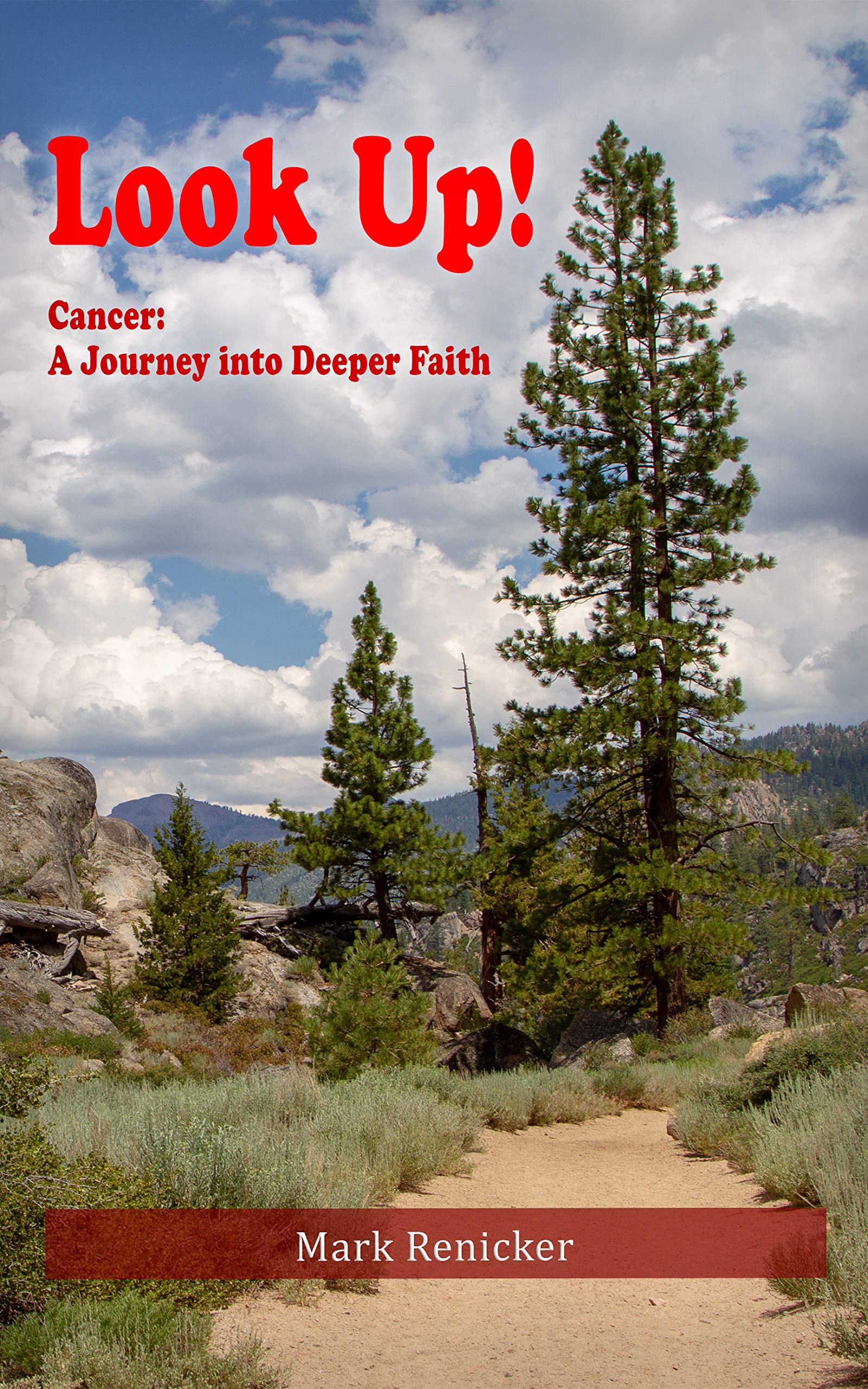 Look Up! : Cancer: A Journey into Deeper Faith by Mark Renicker | Goodreads