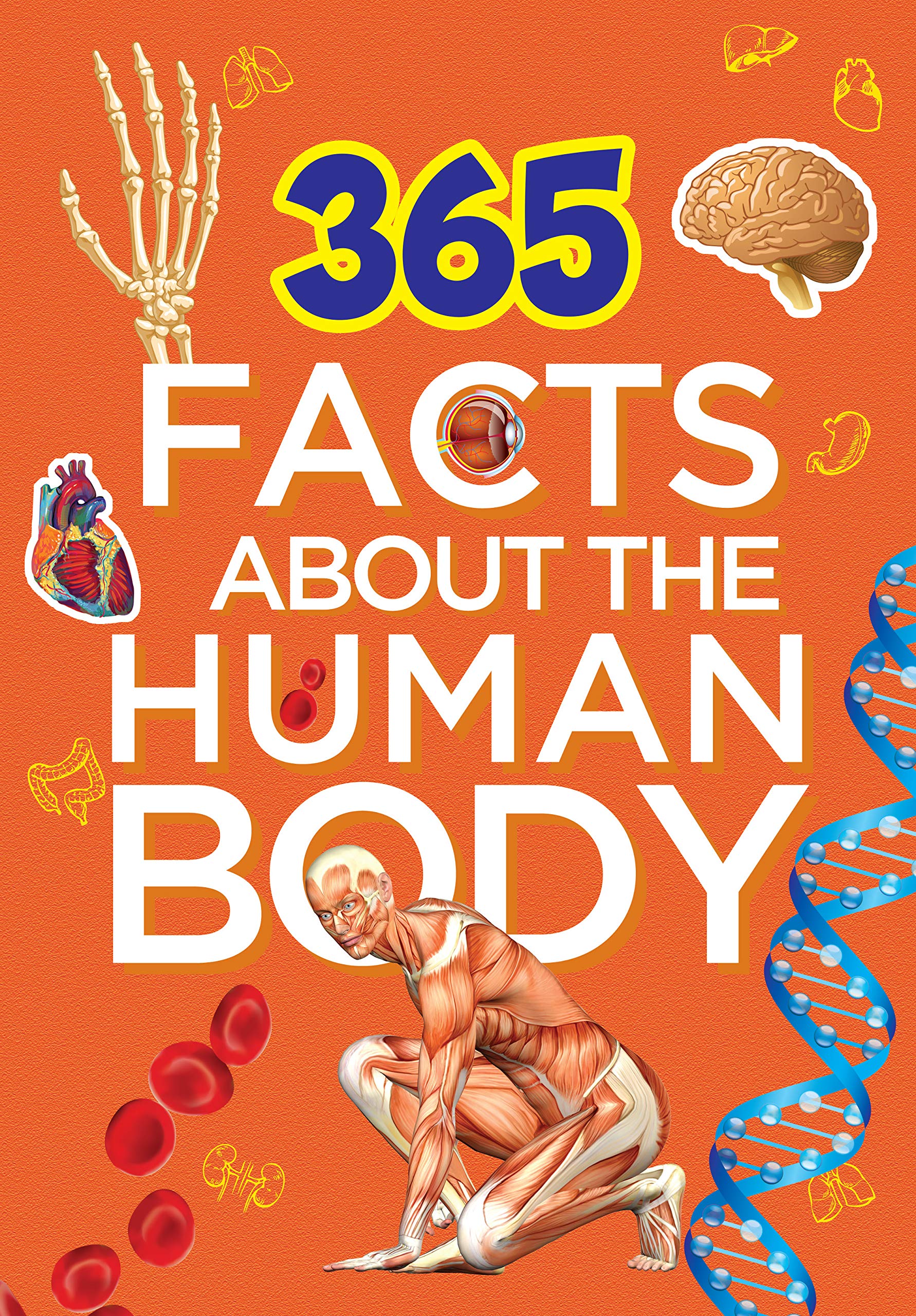 365 Facts About The Human Body By OM Books Editorial Team Goodreads 365-facts-about-the-human-body-by-om-books-editorial-team-goodreads