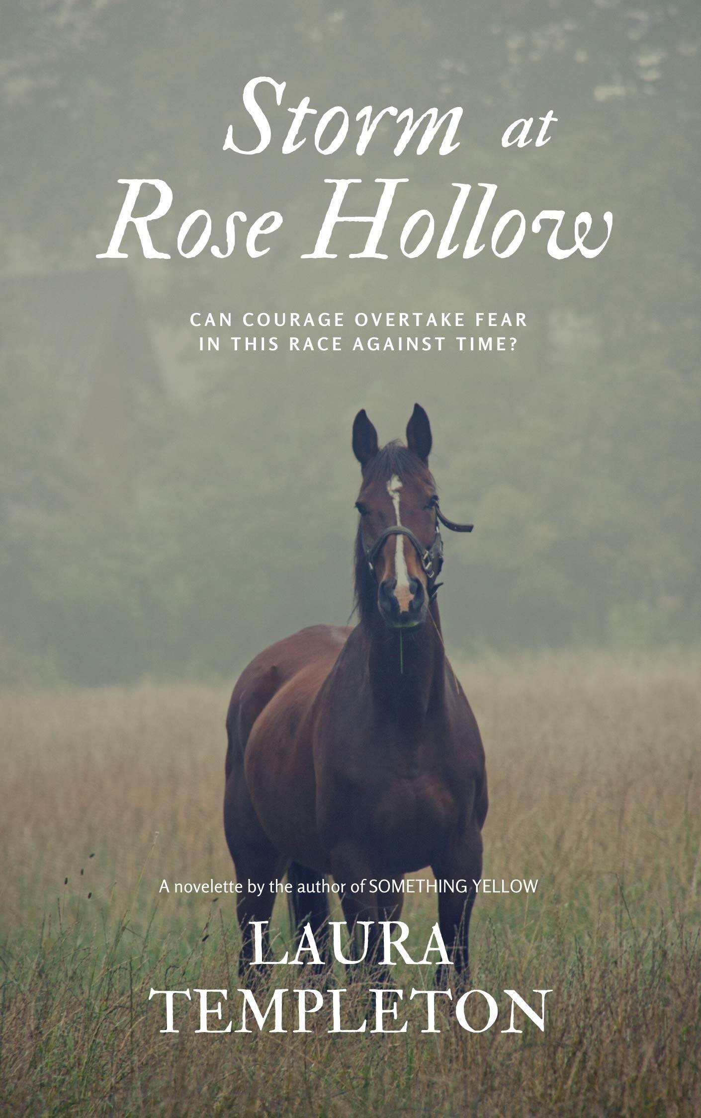 Storm at Rose Hollow: A Novelette by Laura Templeton | Goodreads